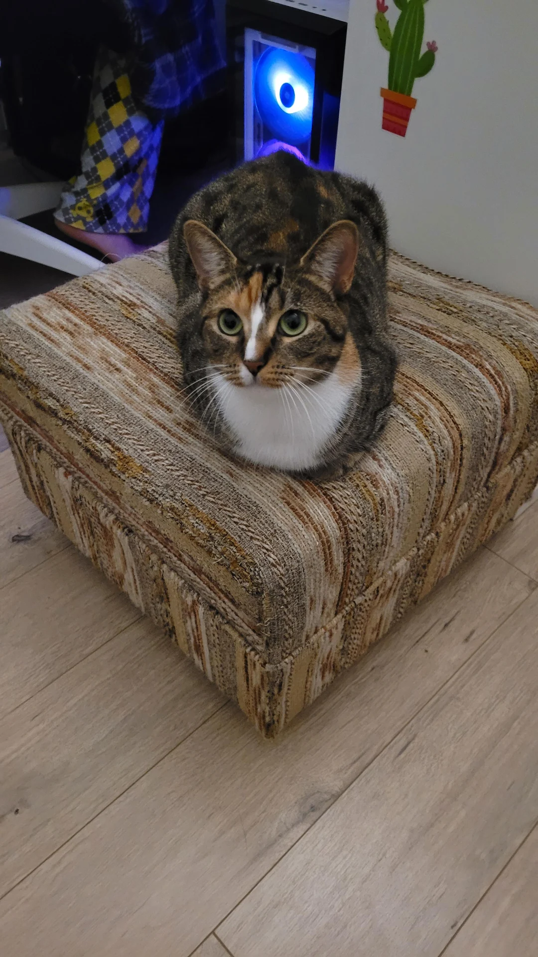 Our multigrain loaf | Scrolller