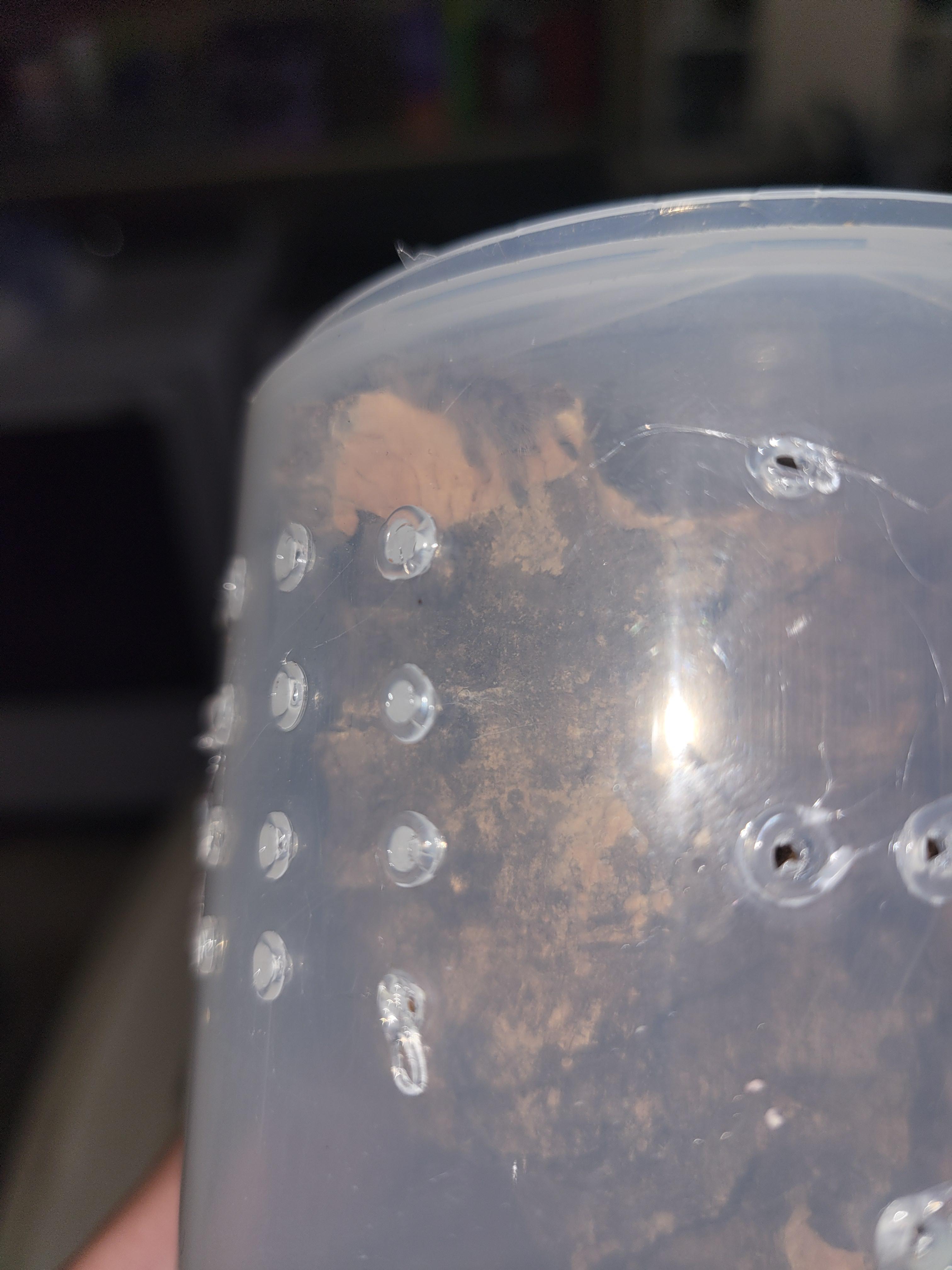 2 new slings | Scrolller