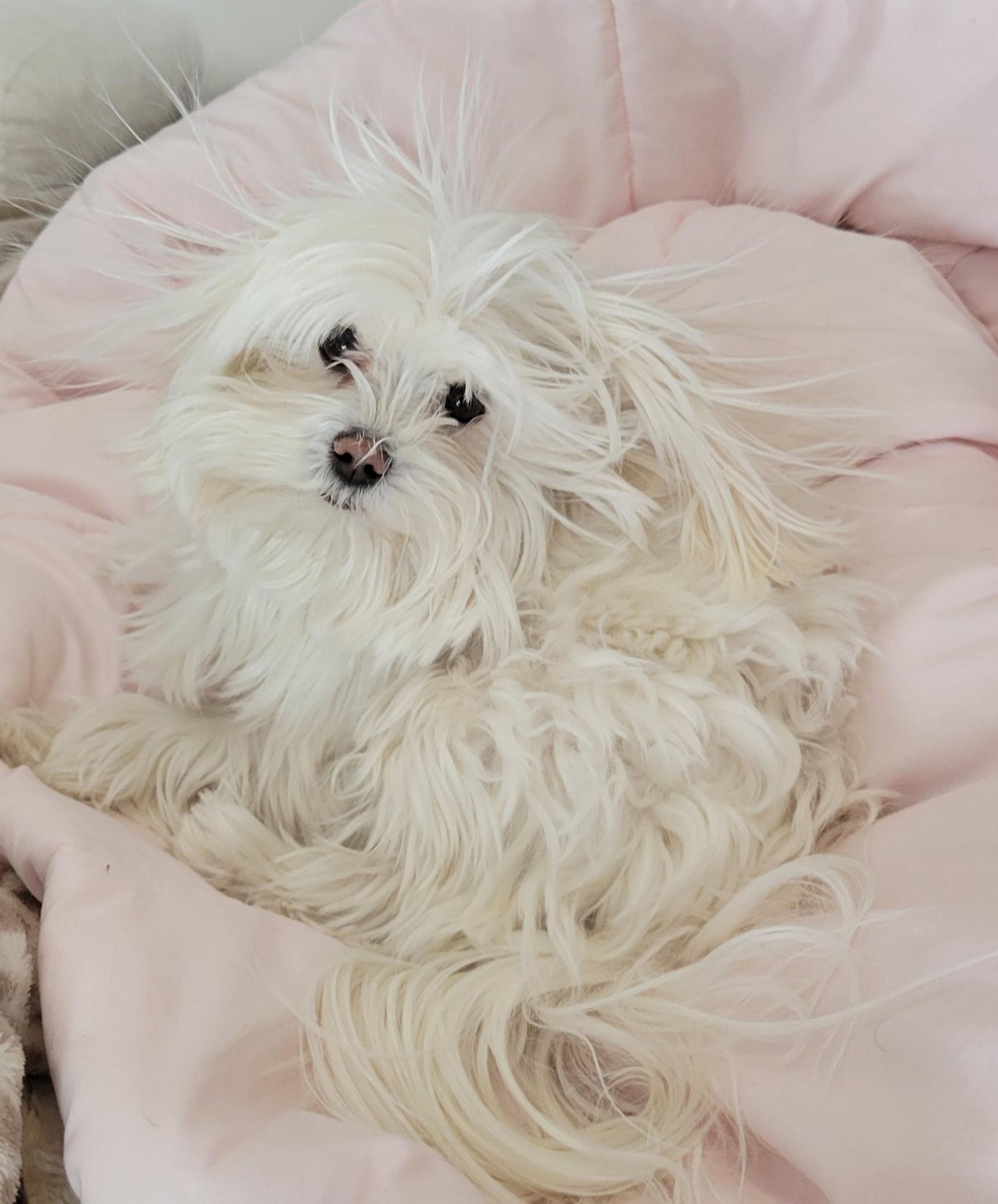 static cling.... | Scrolller