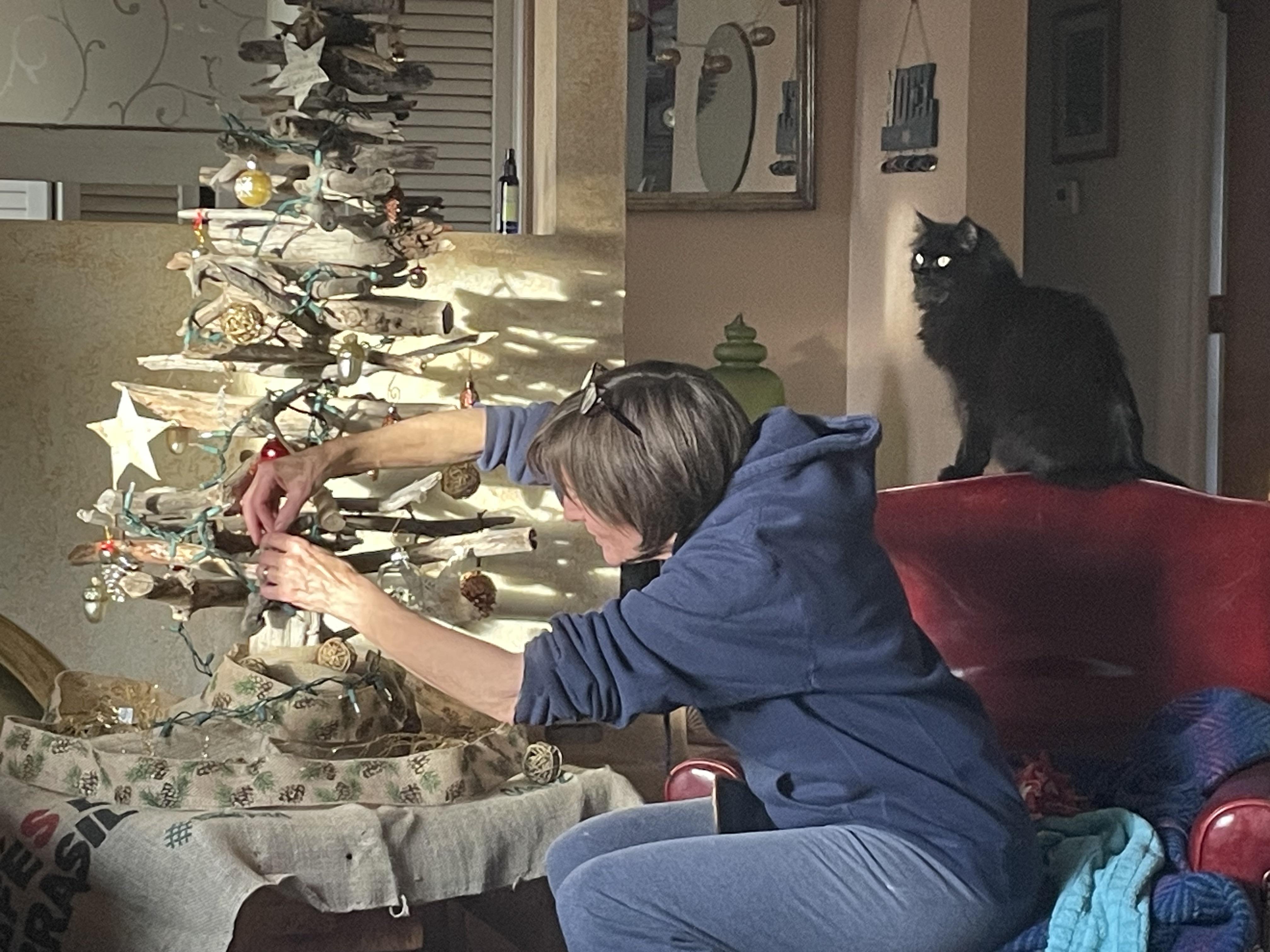 Decorating the tree | Scrolller