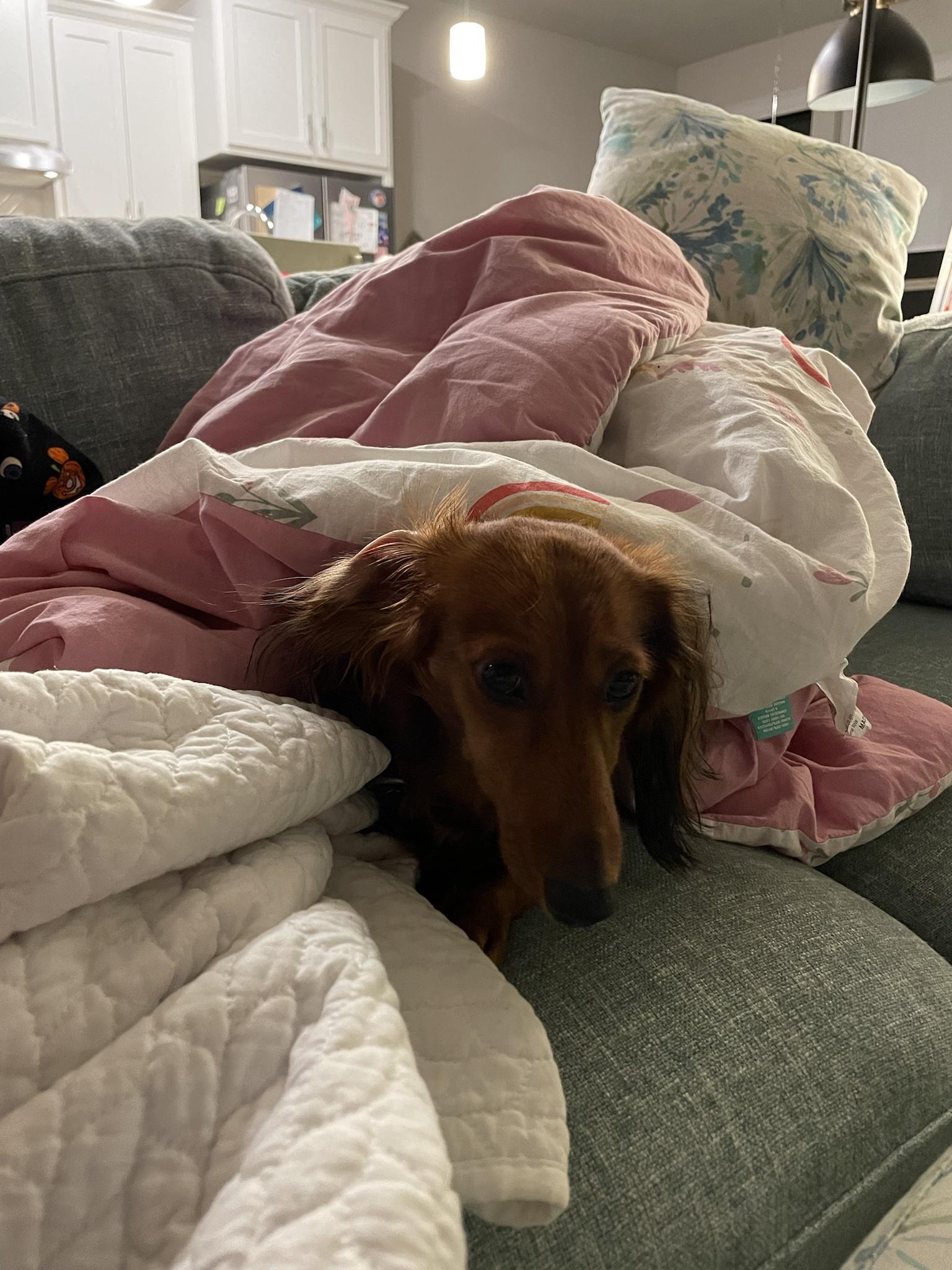 Believe it or not, I’m still cold! | Scrolller