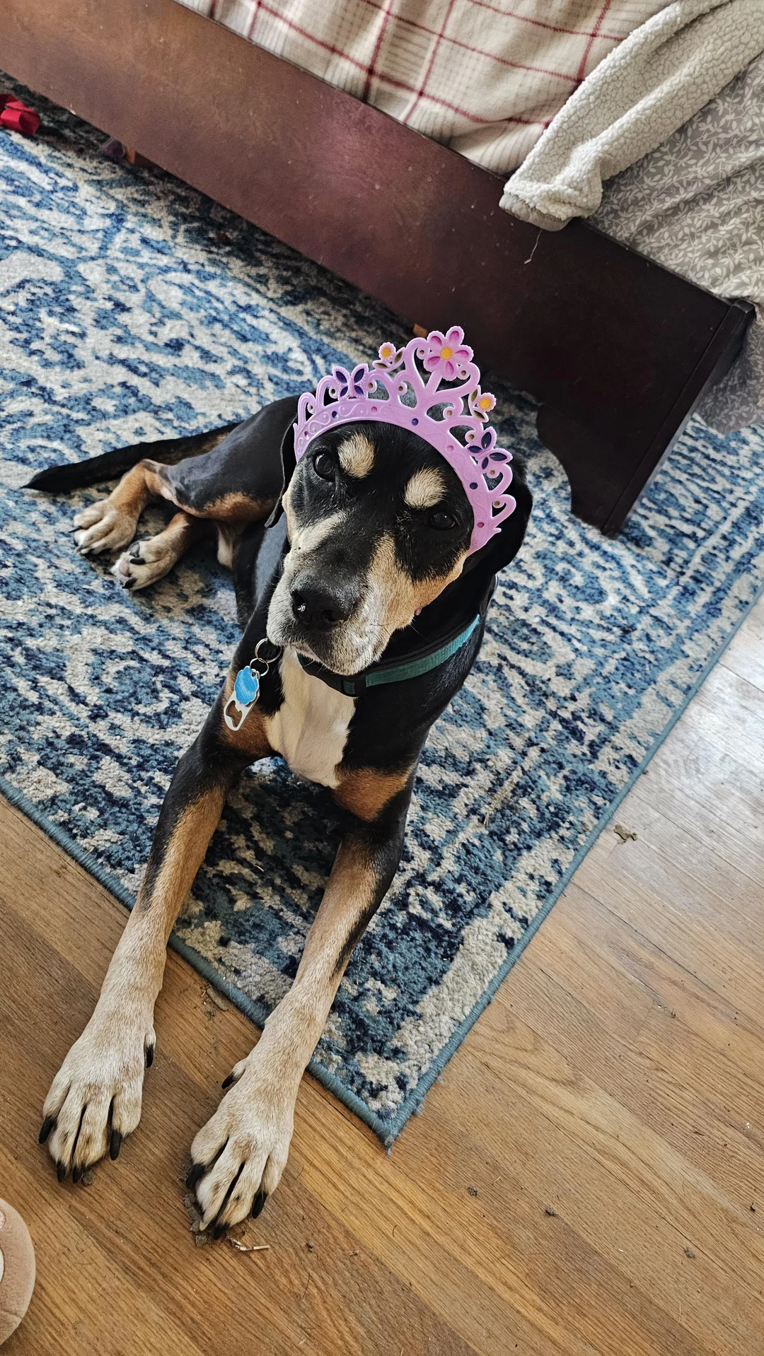 Ben also deserves his time to shine. | Scrolller