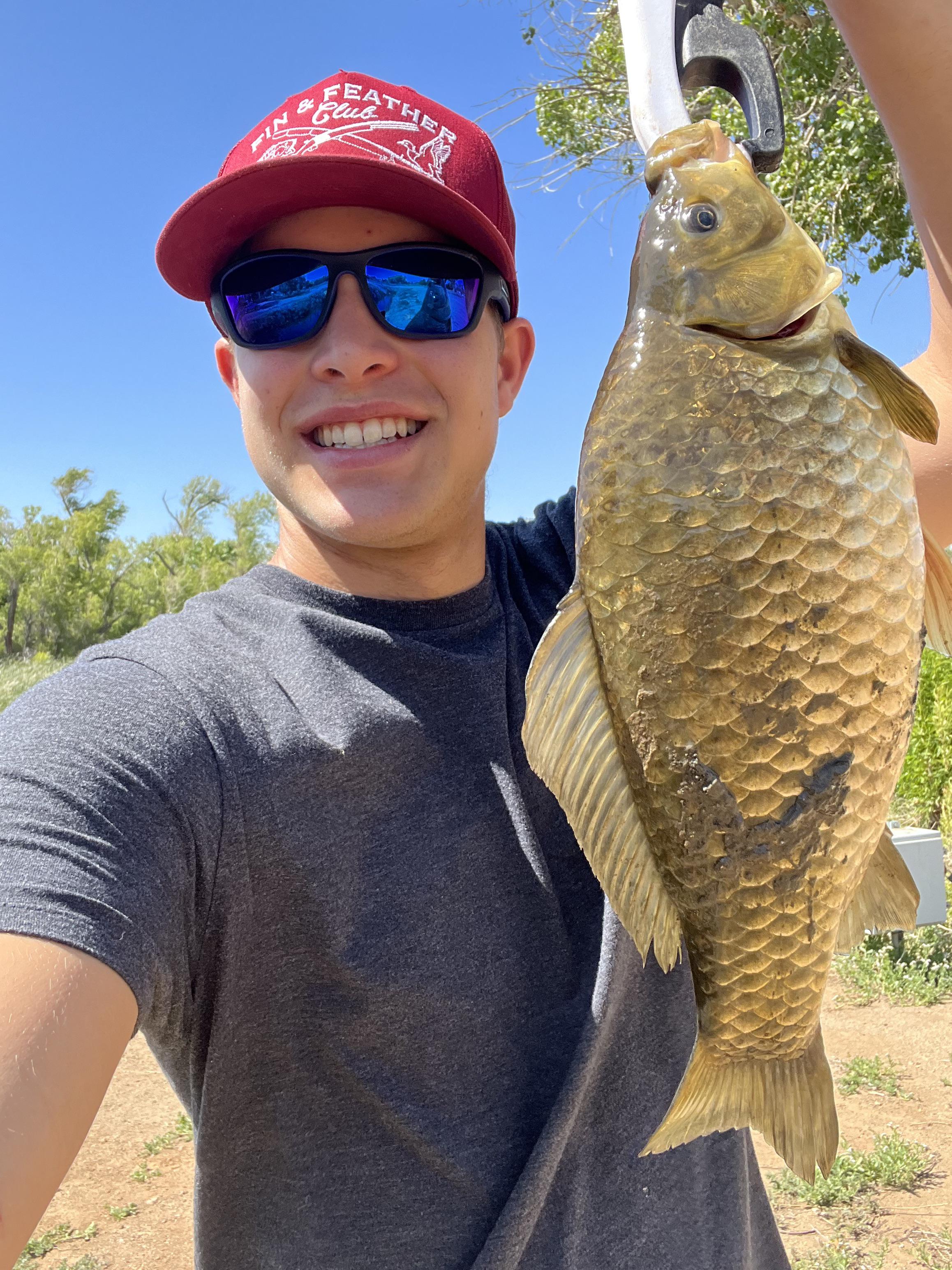 What exact species is this fish? | Scrolller