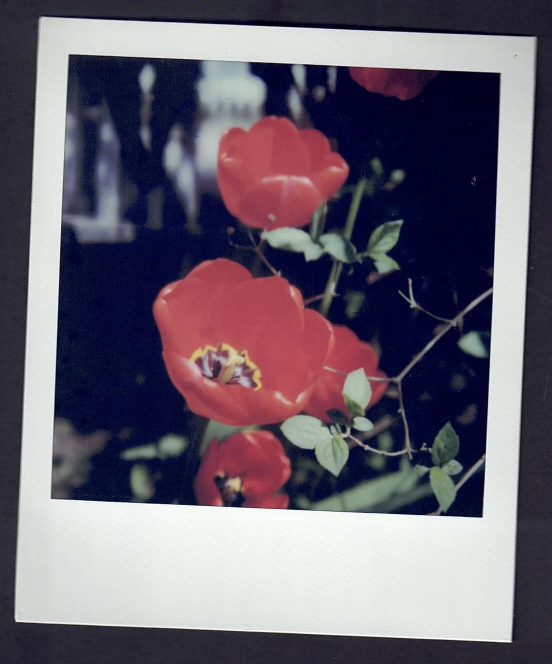 Spring is coming | Scrolller