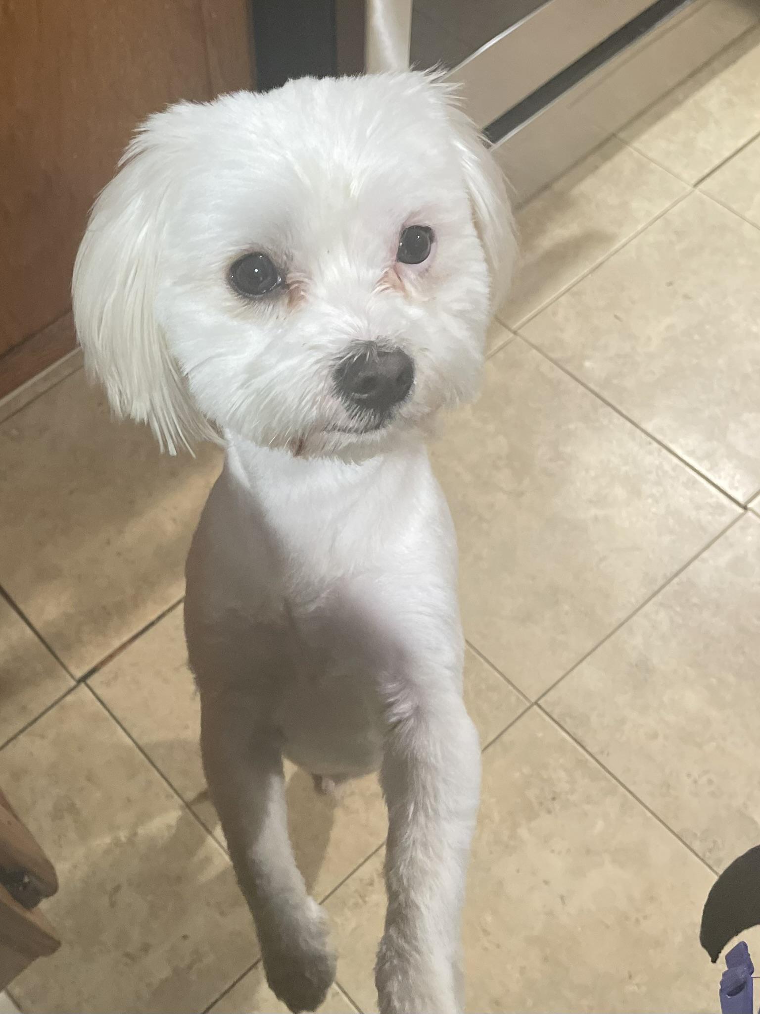 Begging for bedtime cookies face | Scrolller