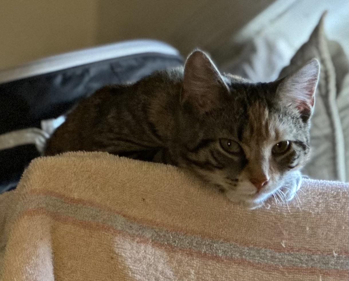 What’s she thinking about? | Scrolller