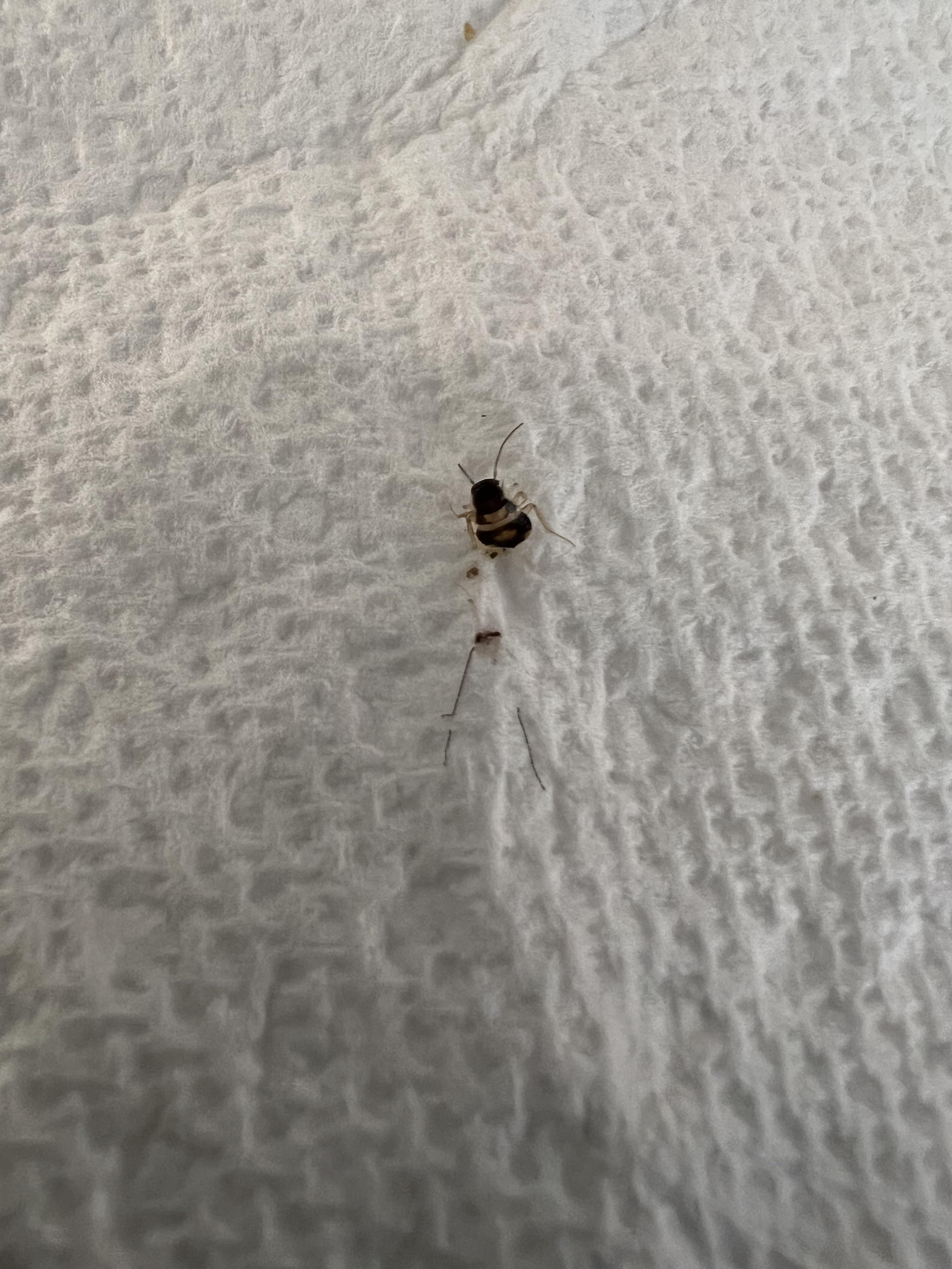 Who is this I just squashed?? | Scrolller