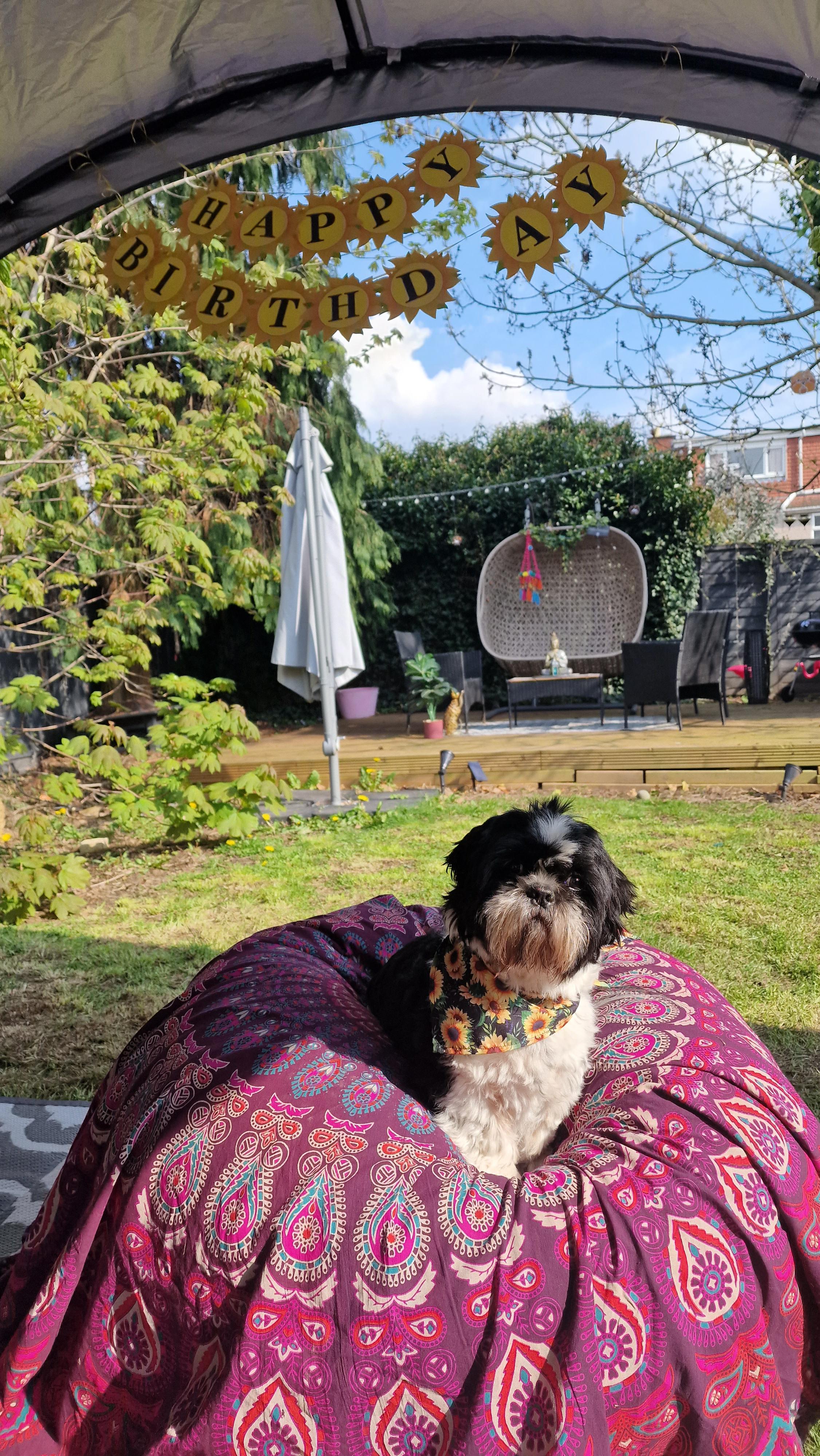 My lovely Bear ️ | Scrolller