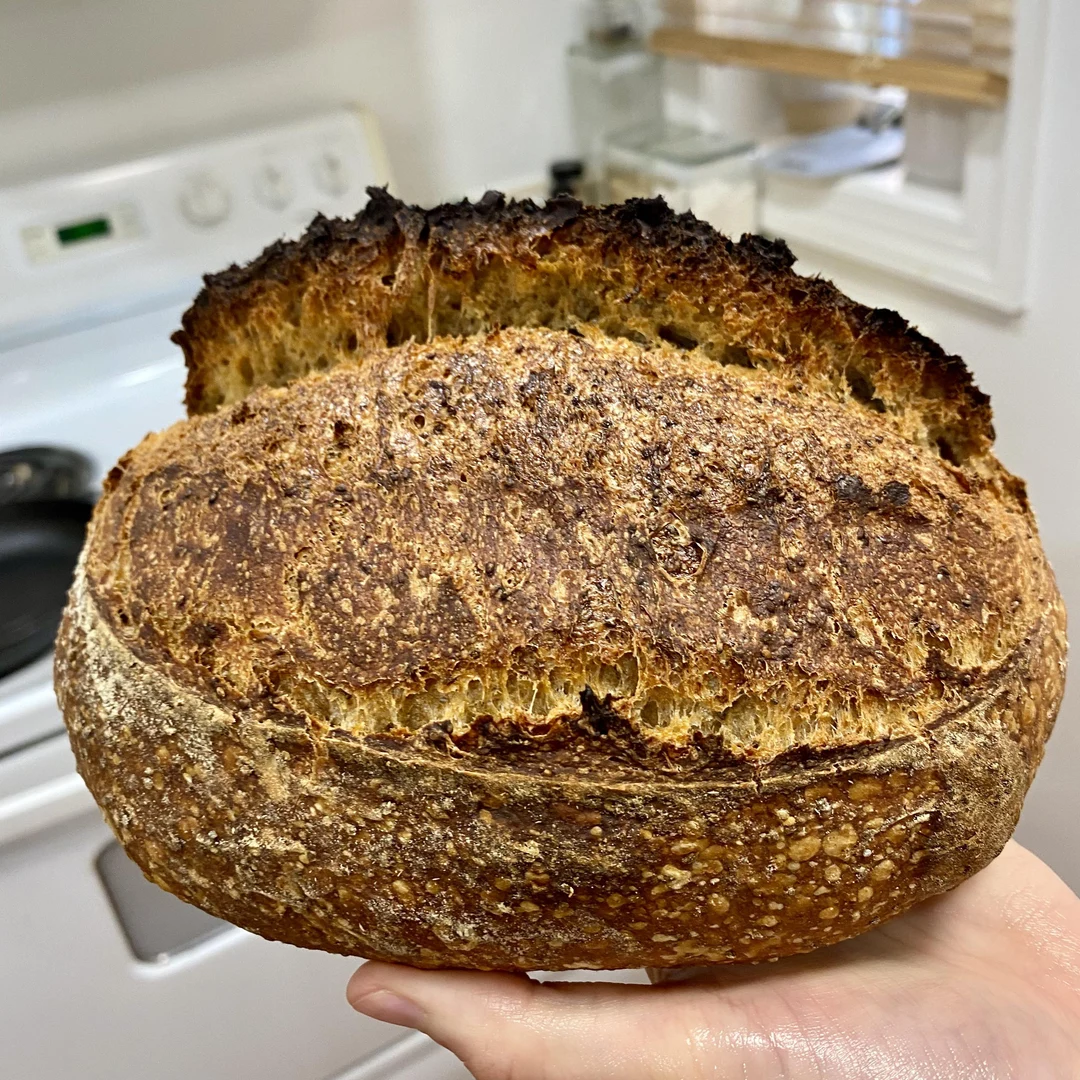 Loving the textures on today’s crust! 🤓 | Scrolller