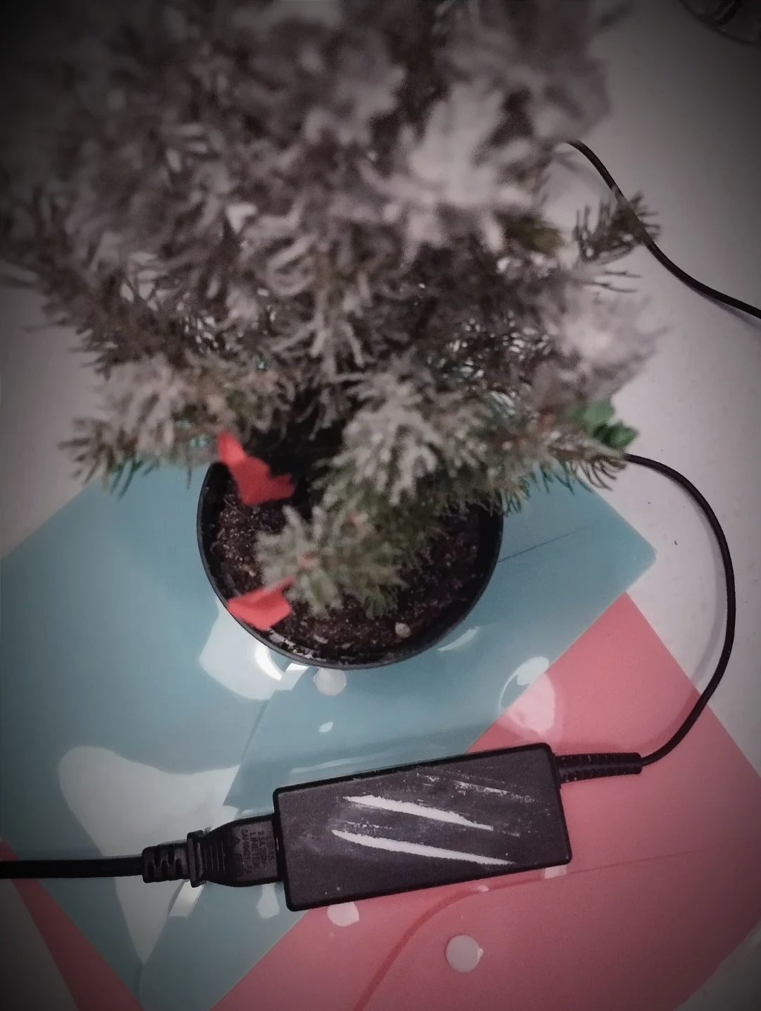 laptop charger aka hot plate... anyone? | Scrolller