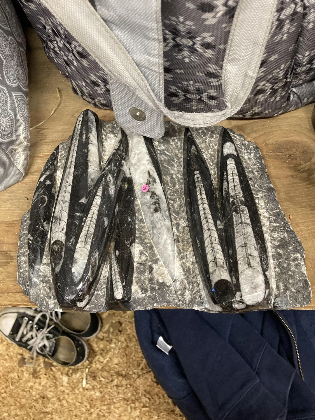 This beautiful specimen I just purchased! If anyone knows what they are let me know, I’m in love ...