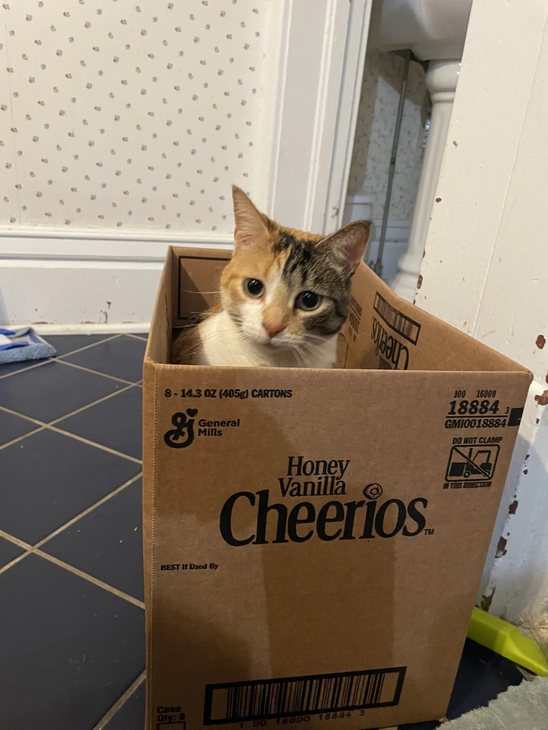 Package secured! 📦 | Scrolller