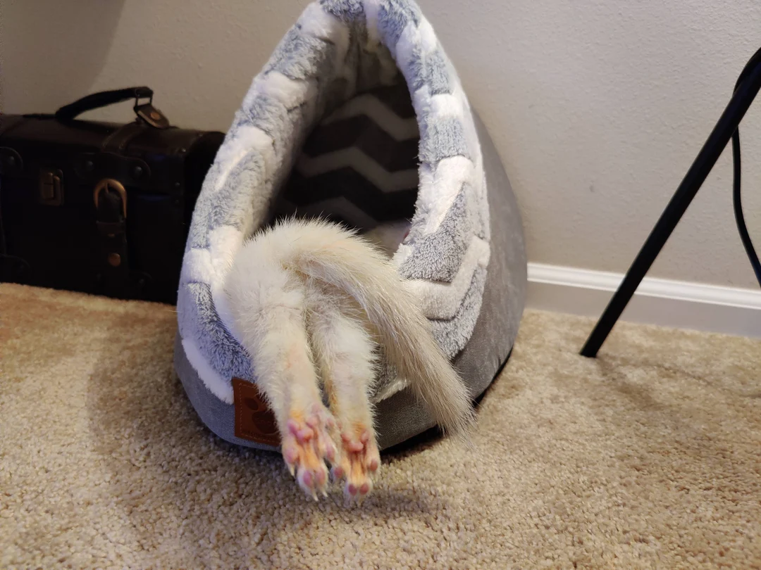 Beans up | Scrolller