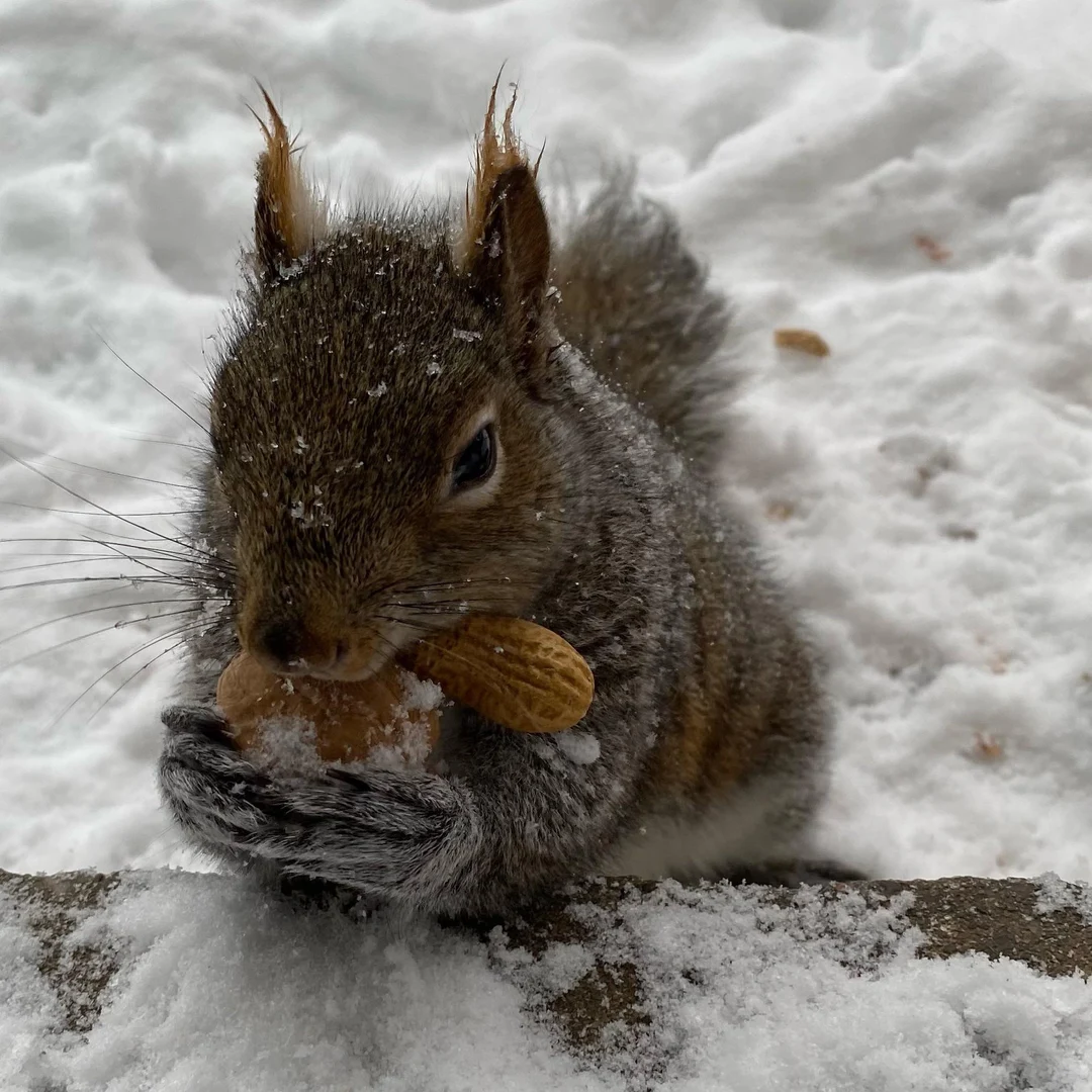 Nikki stocking up for the storm. | Scrolller