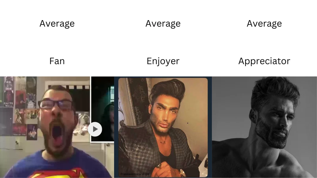 Extended Fan vs Enjoyer vs Appreciator Meme template I've made | Scrolller