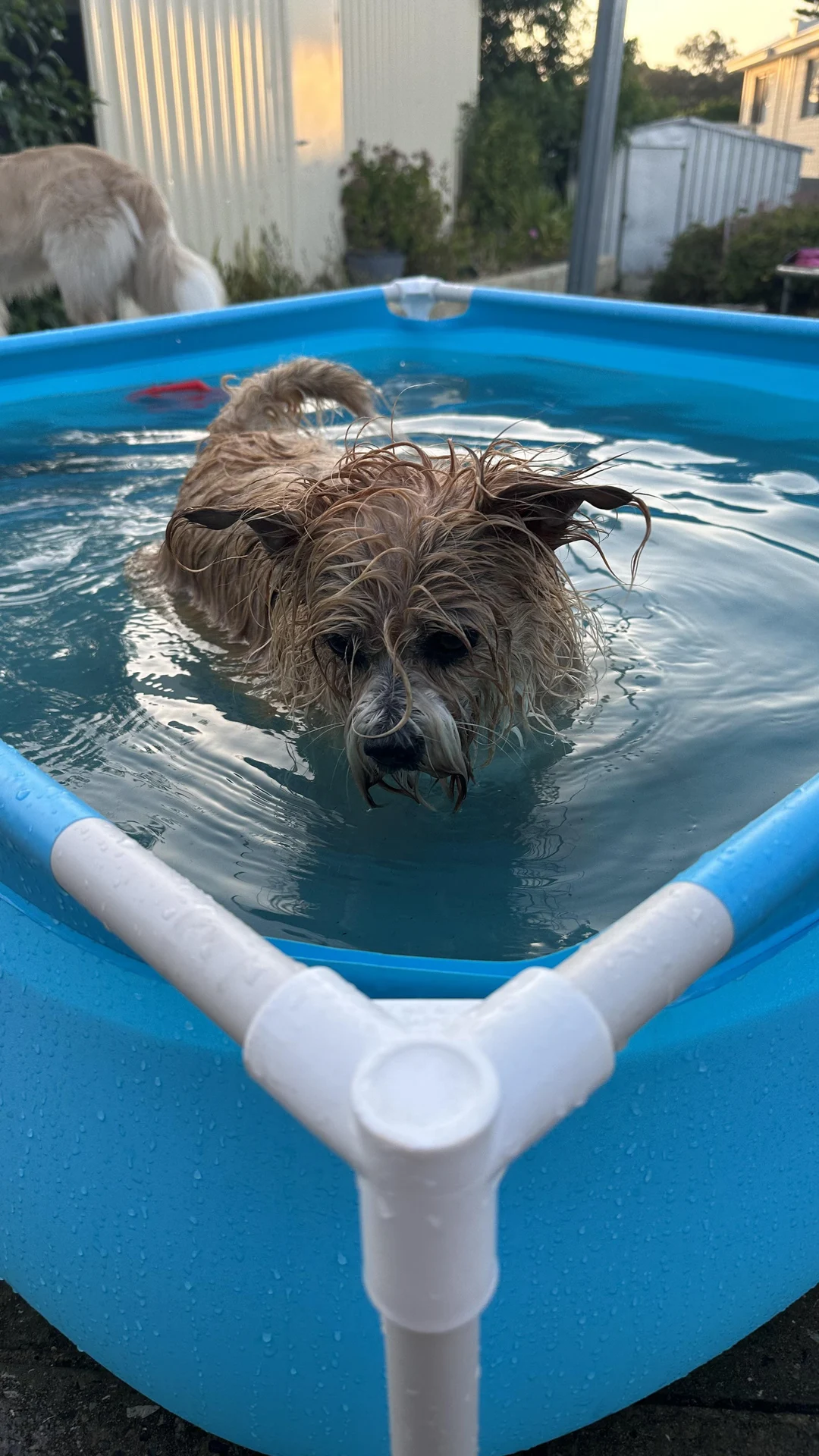 Splish Splash | Scrolller