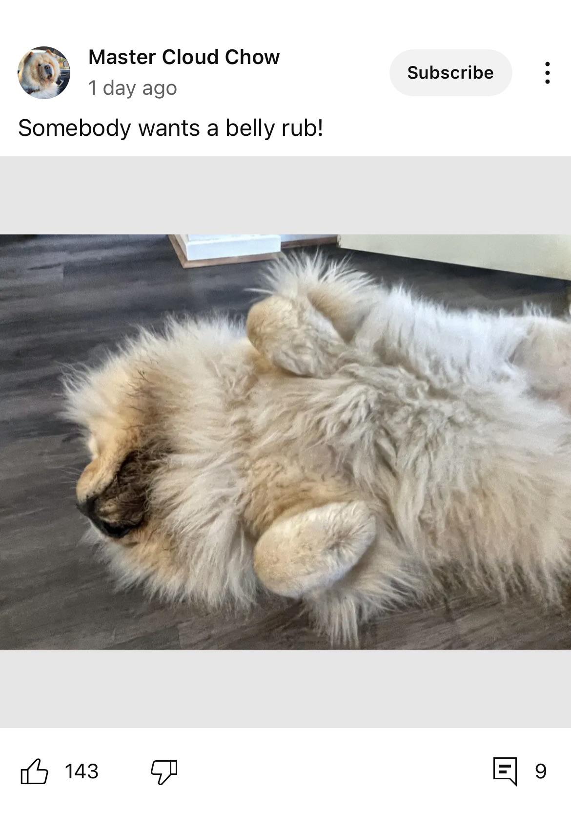 Fluffy little kid | Scrolller