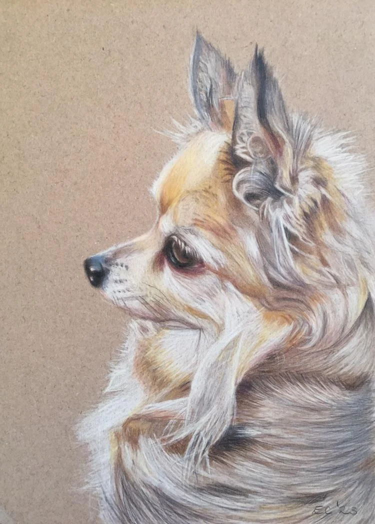 Lulu, PsychoInMyWardrobe, coloured pencil, 2024 | Scrolller