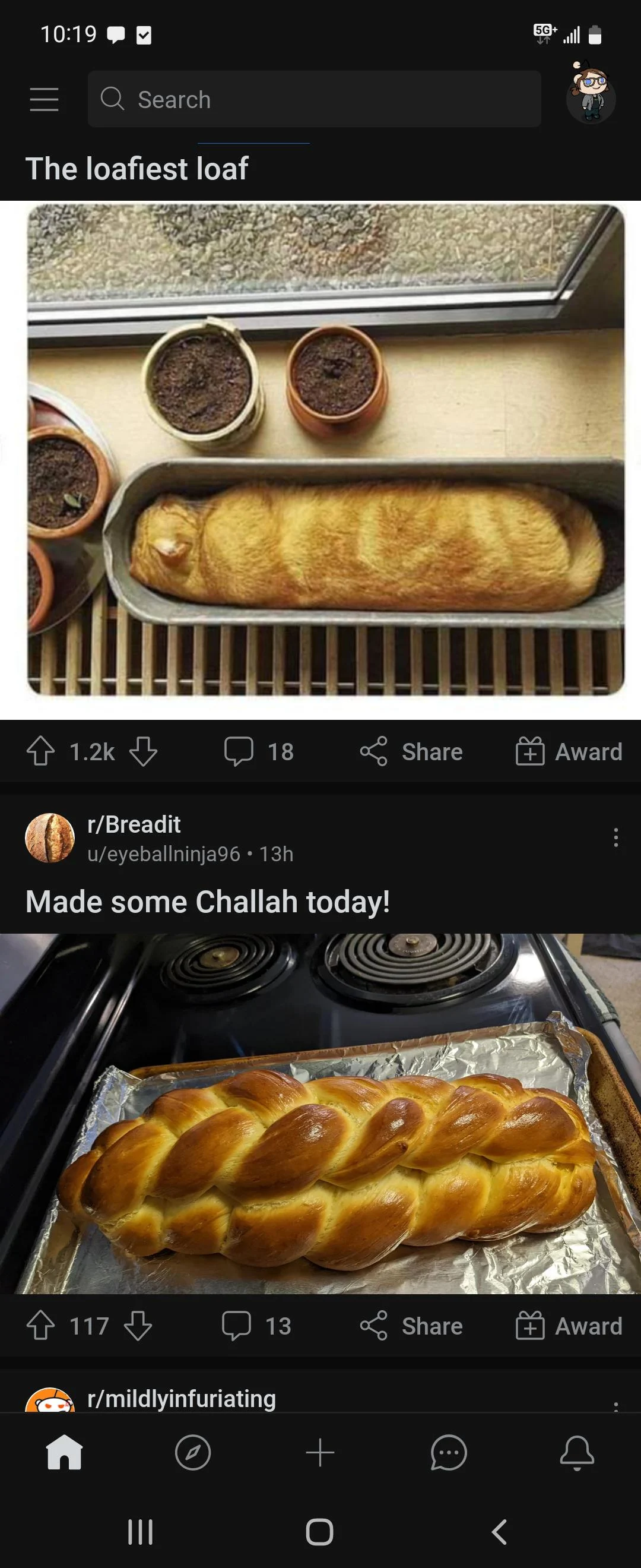my feed is confusing lol. two perfect loaves | Scrolller