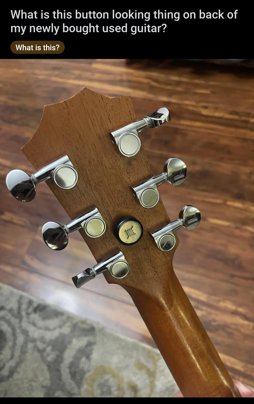 Finally! The toan button! | Scrolller