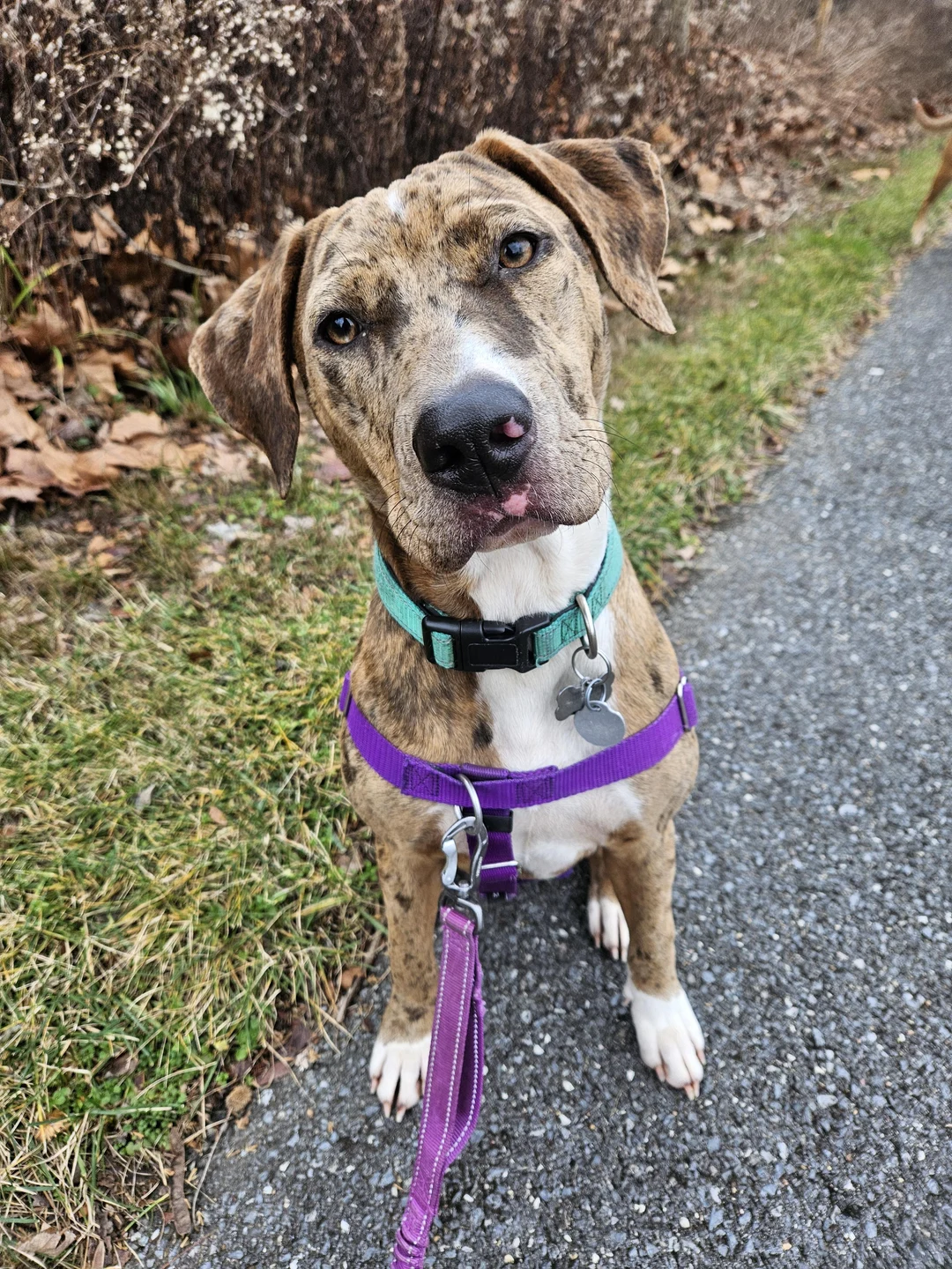 Head tilts are the best! | Scrolller