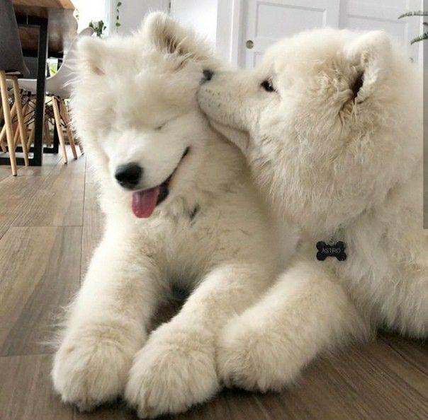 Happy Hugs | Scrolller