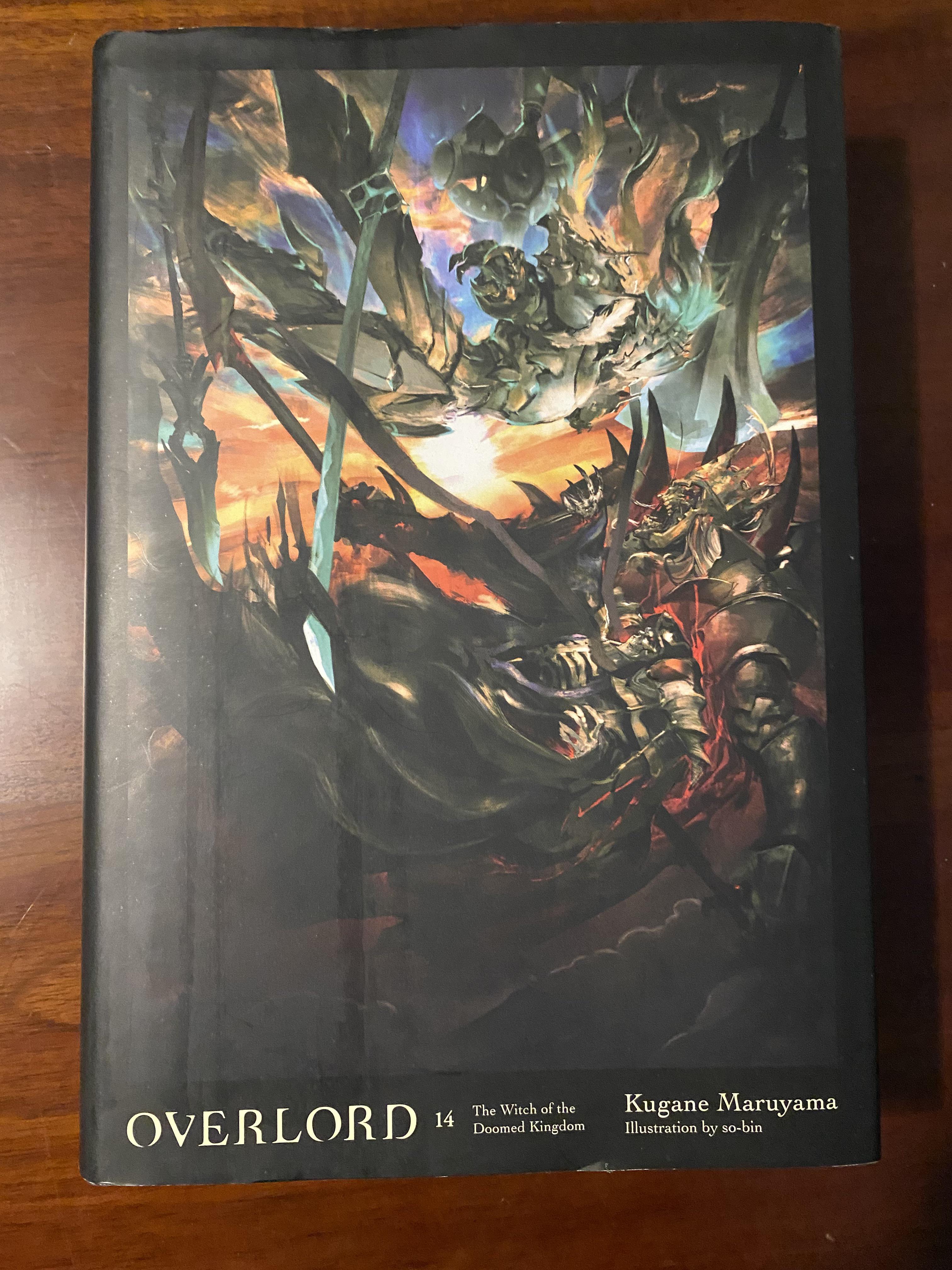 Finally bought my first Overlord novel! | Scrolller