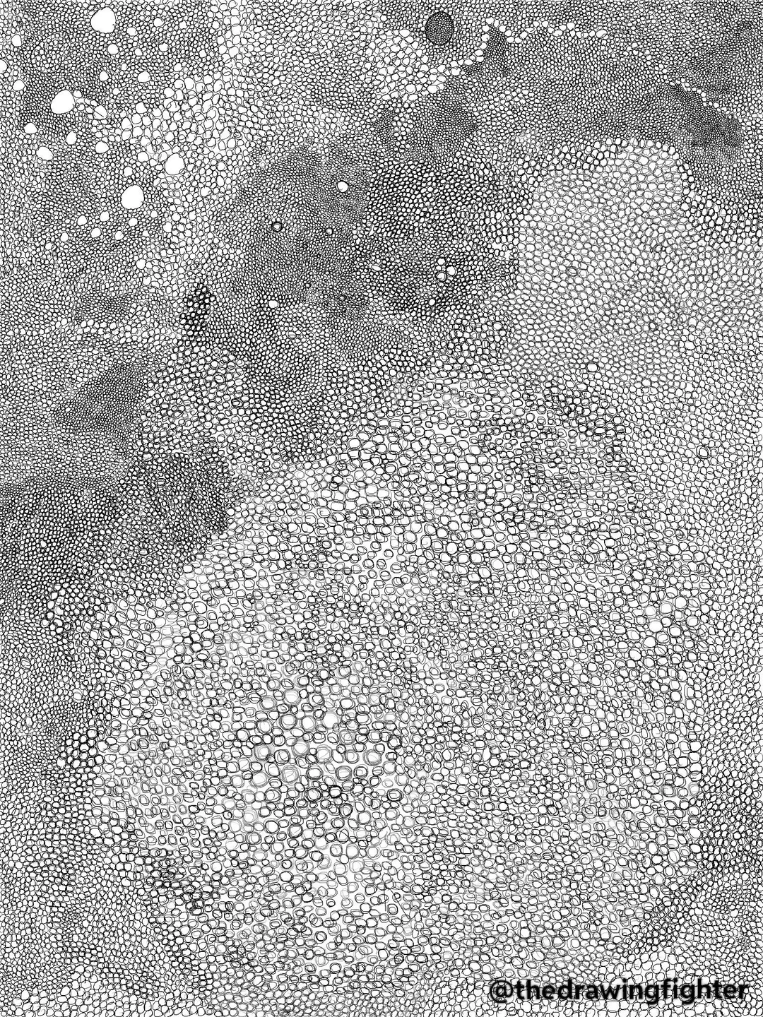 Drawing Circles, Me, Procreate 2022 | Scrolller