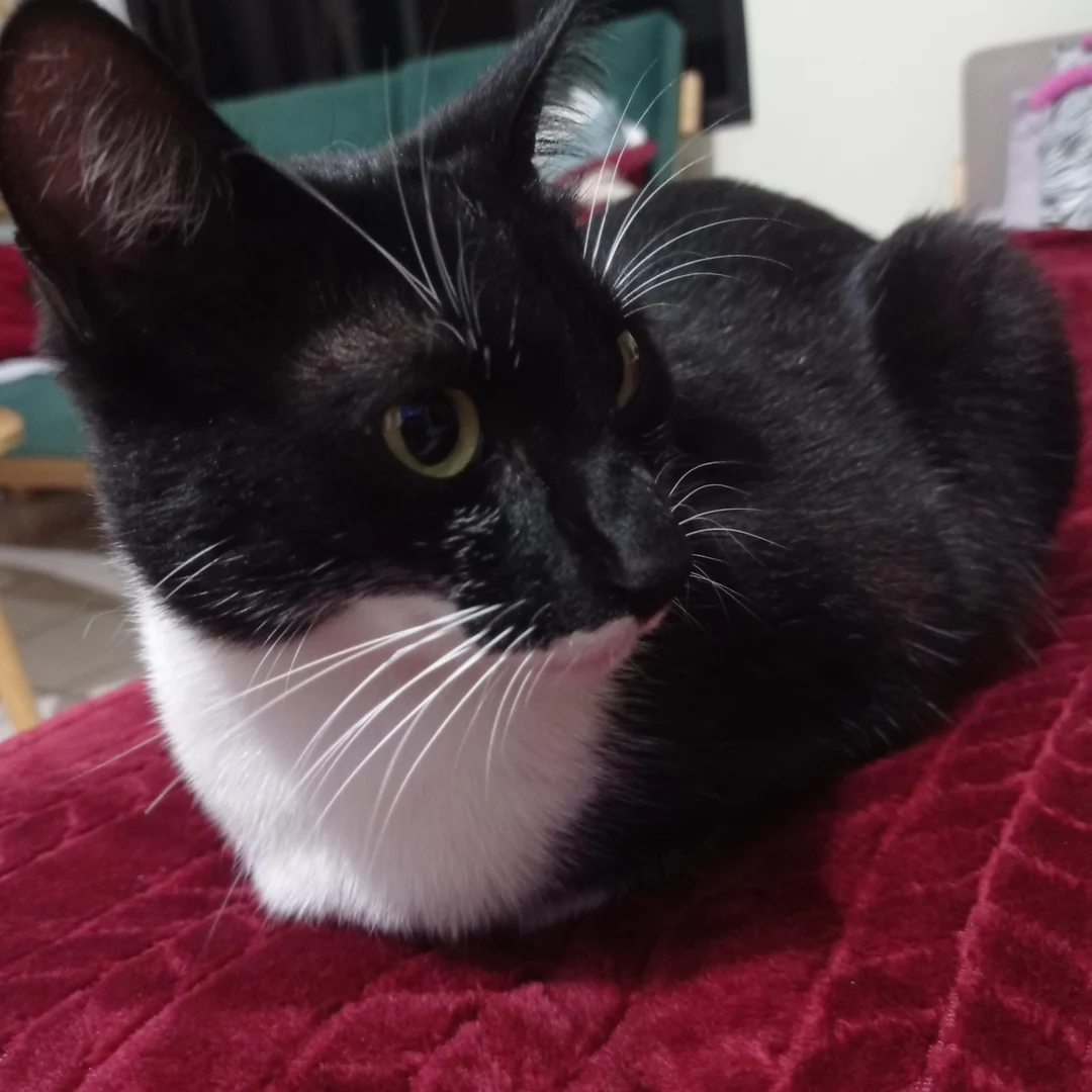 I approve this loaf | Scrolller