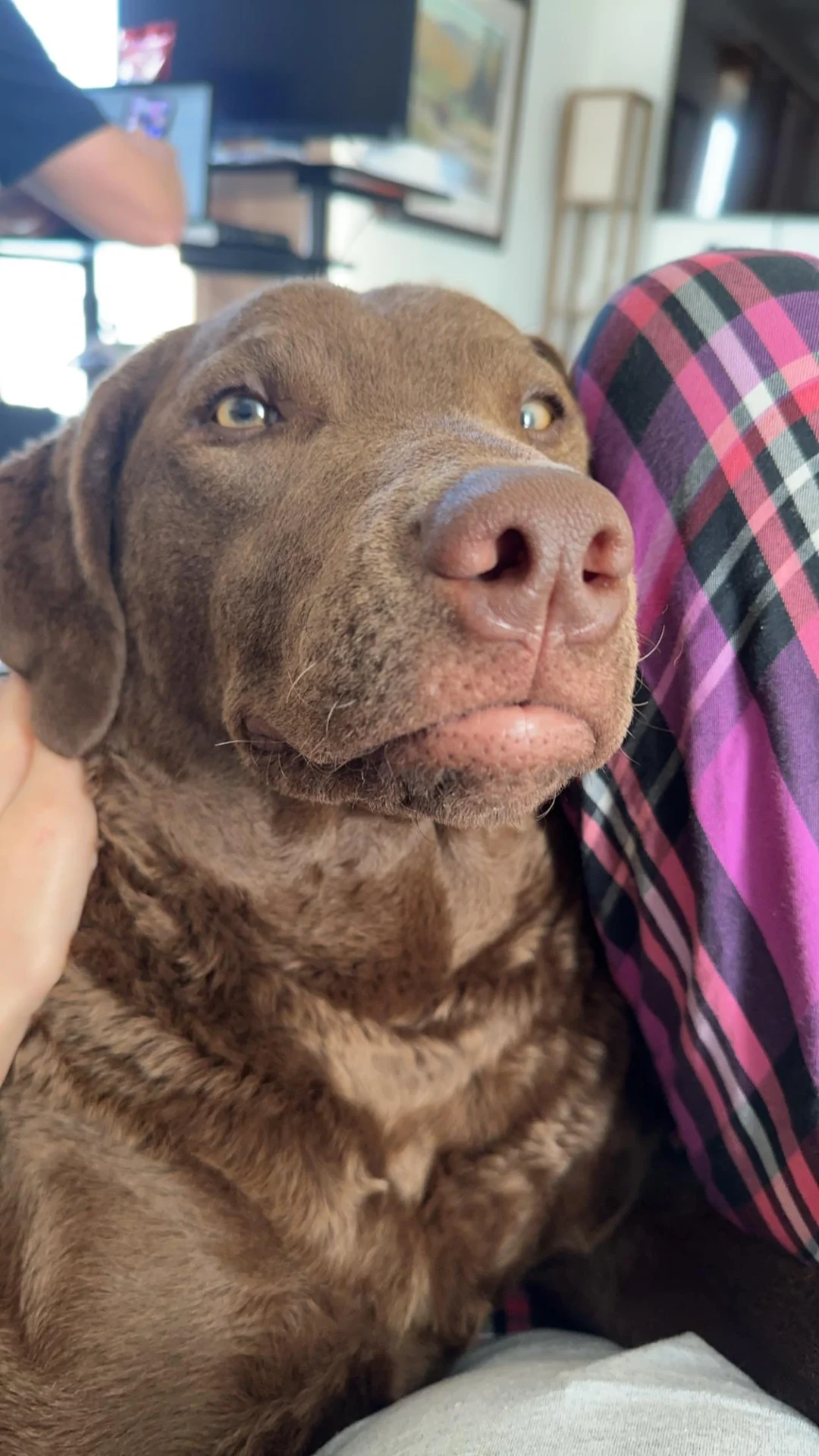 Shes always judging me | Scrolller