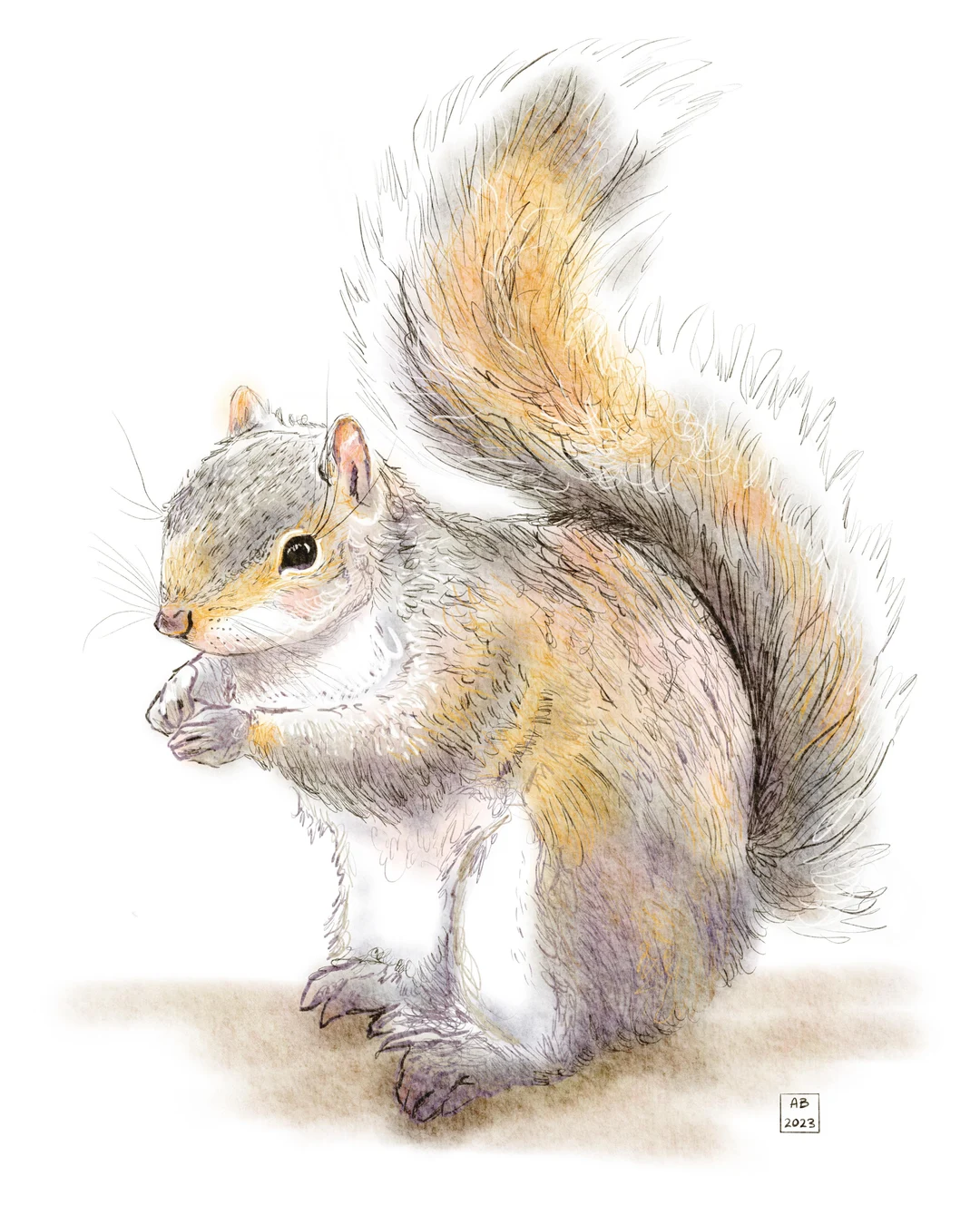 Squirrel, me, digital, 2023 | Scrolller