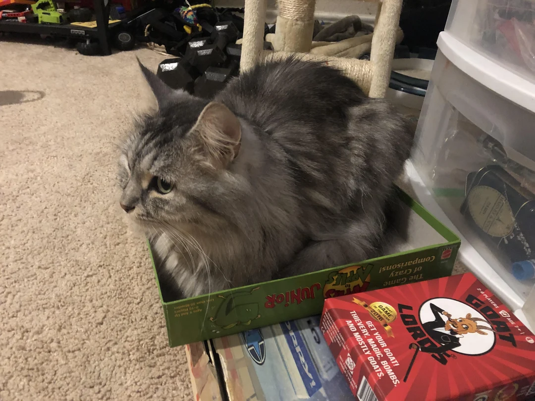 so compact | Scrolller