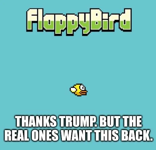 Let's focus on the real problems: | Scrolller