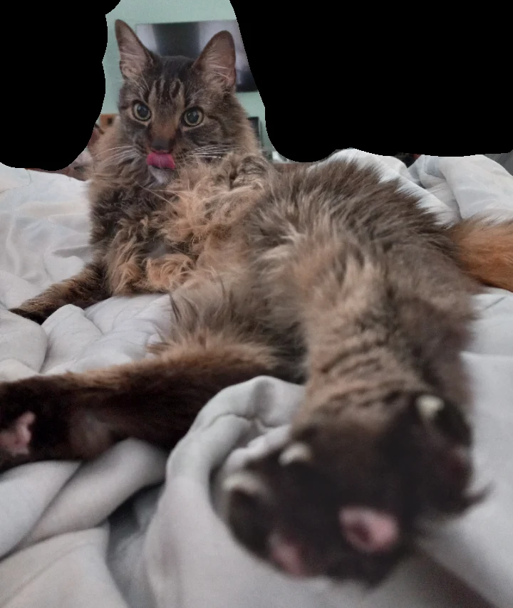 Gotta spread those toes when bathing! | Scrolller