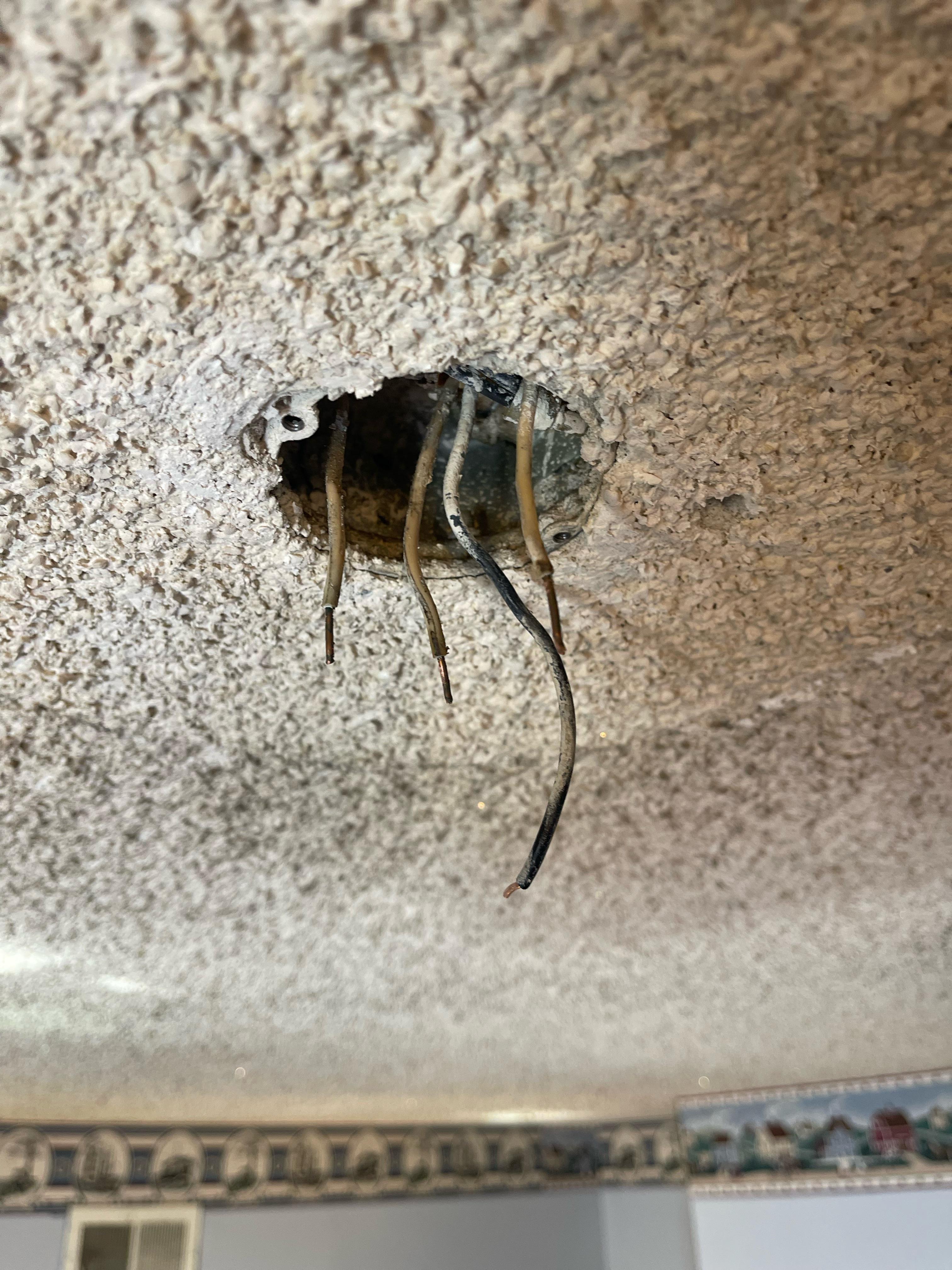 Discover more like Home: Ceiling can help and Related Content | Scrolller