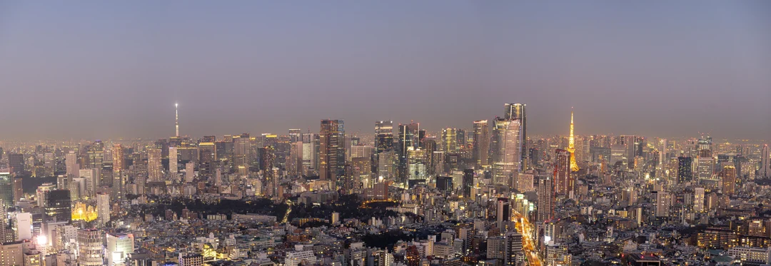 Tokyo SkyTree and Tokyo Tower as seen from Shibuya Sky [OC] | Scrolller