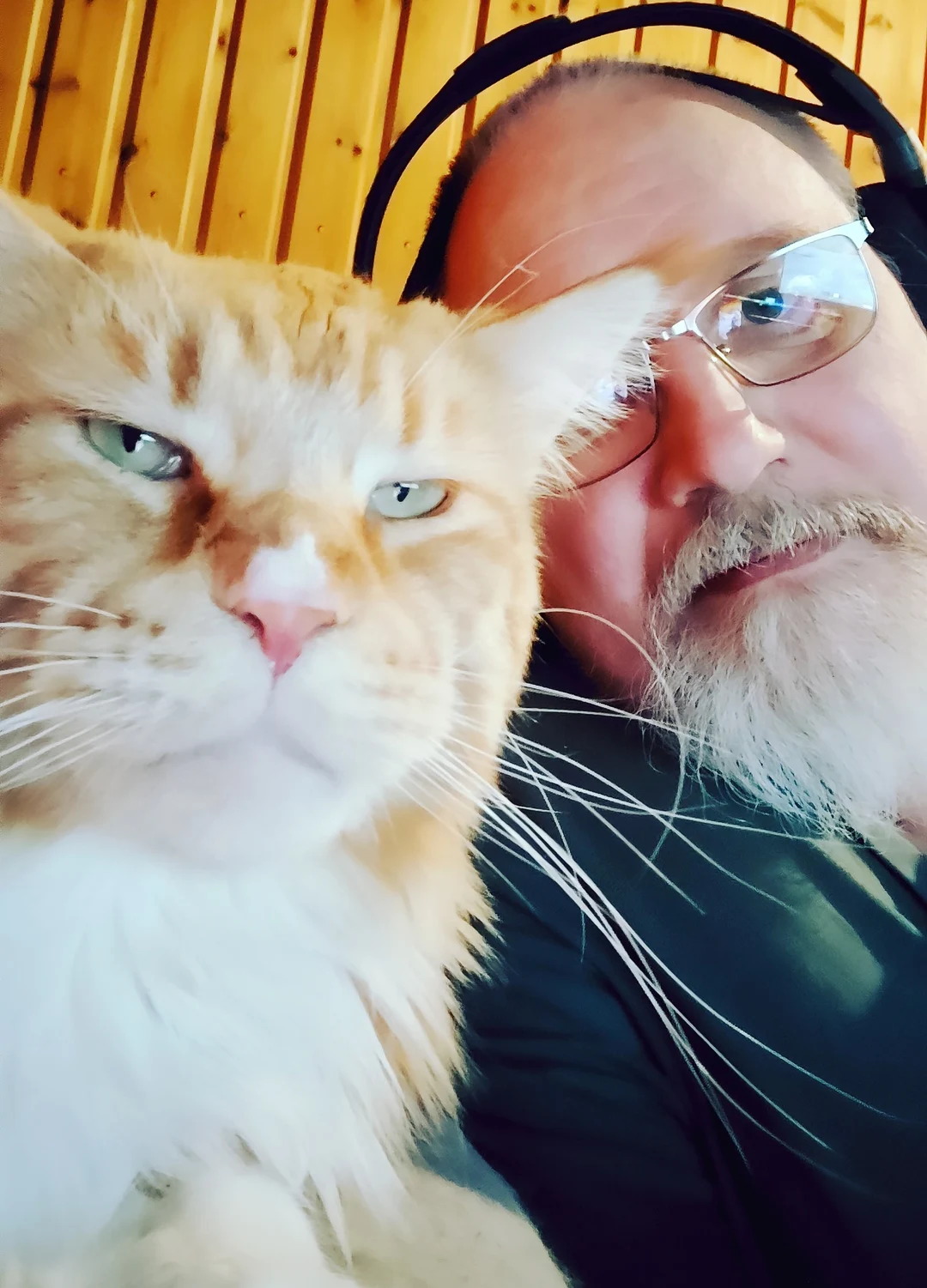 Through thick and thin, grumpy together 😂 | Scrolller