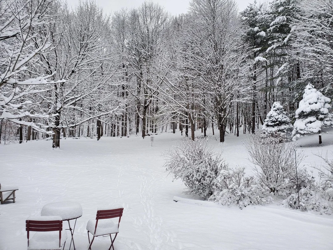 First snowfall in our new house, Rensselaer County, NY, 12/12/22 [OC[ | Scrolller