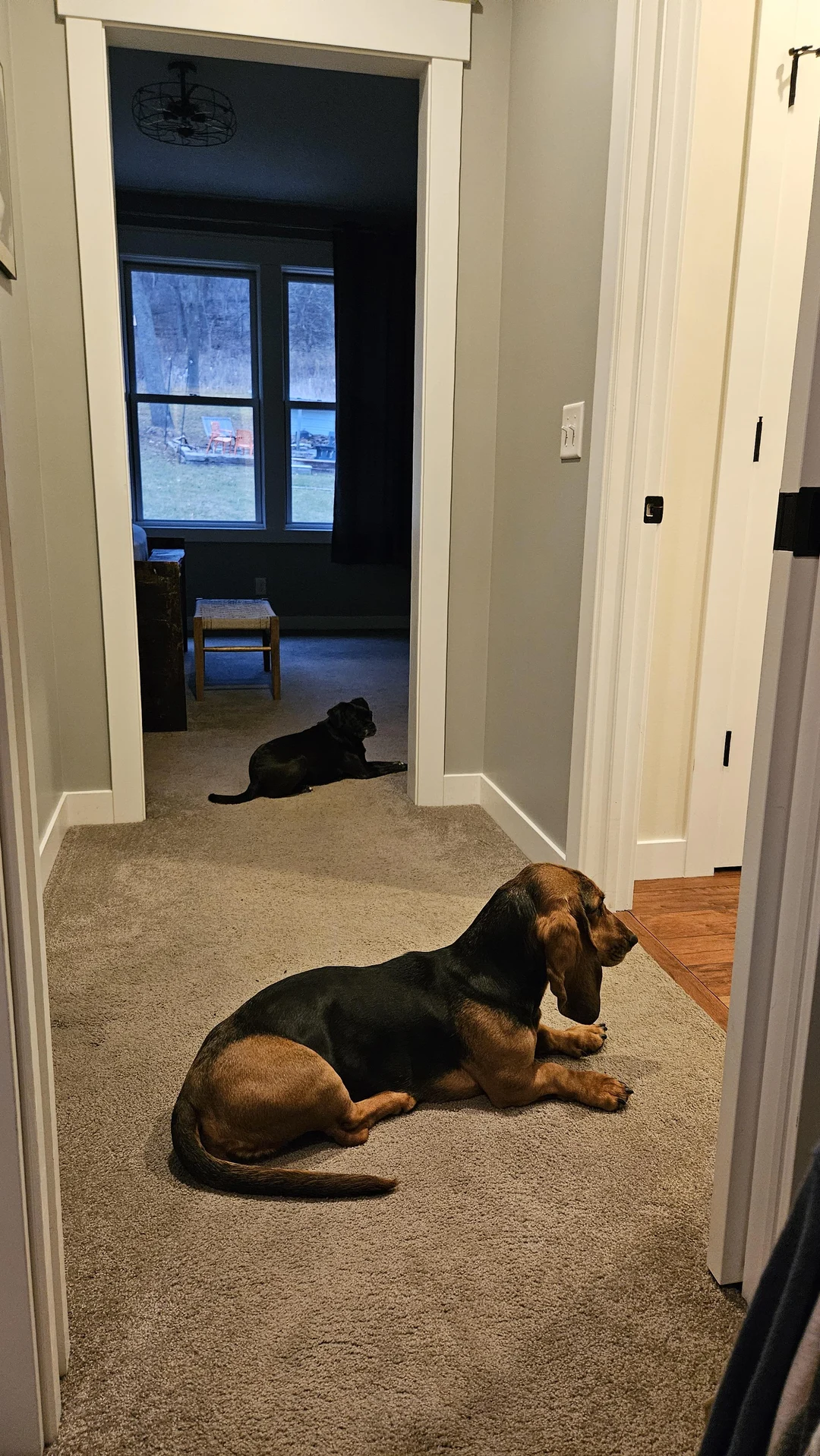 Hmmm I don't seem to remember installing speed bumps in my house🤔 | Scrolller