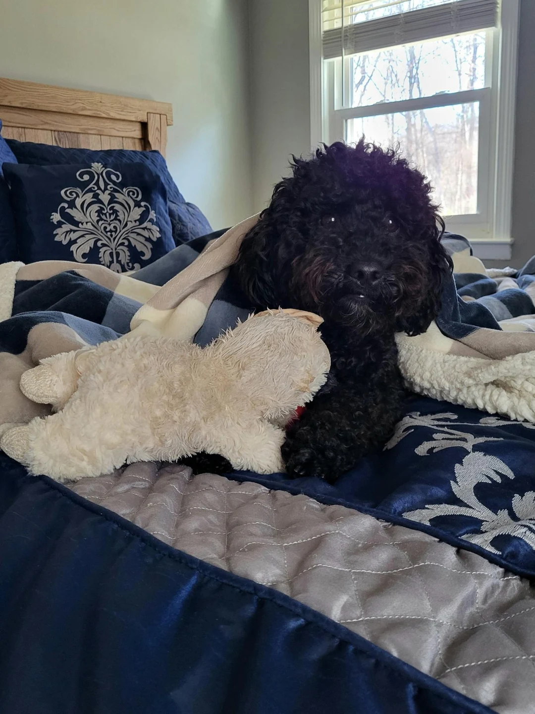 hello it's naptime | Scrolller