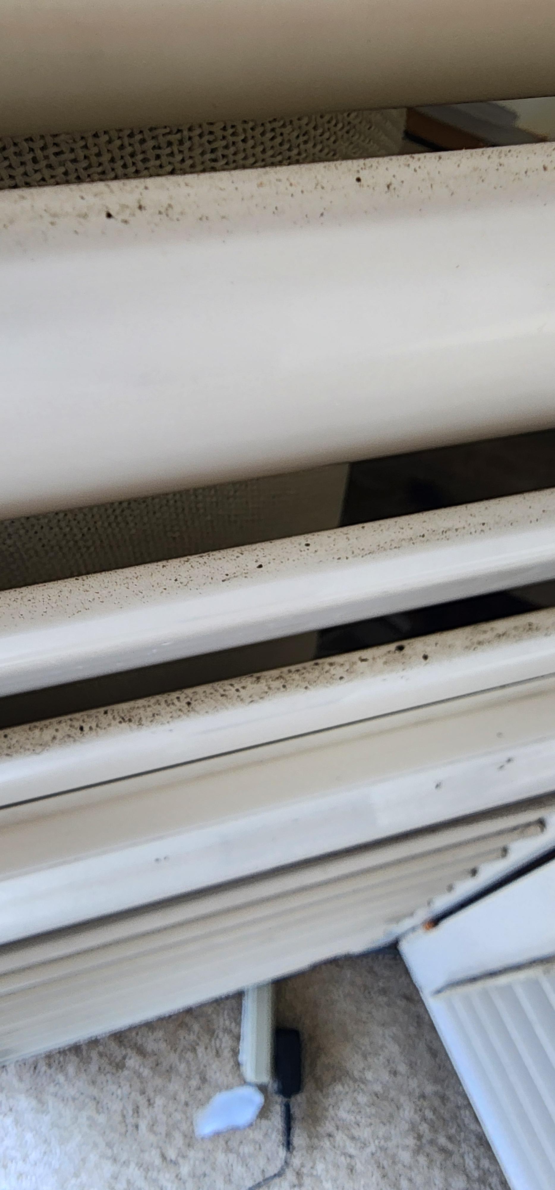 Is this black mold? | Scrolller