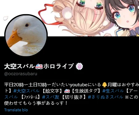 Discover more like Hololive: Subaru has reached the Acceptance stage and Related Content | Scrolller