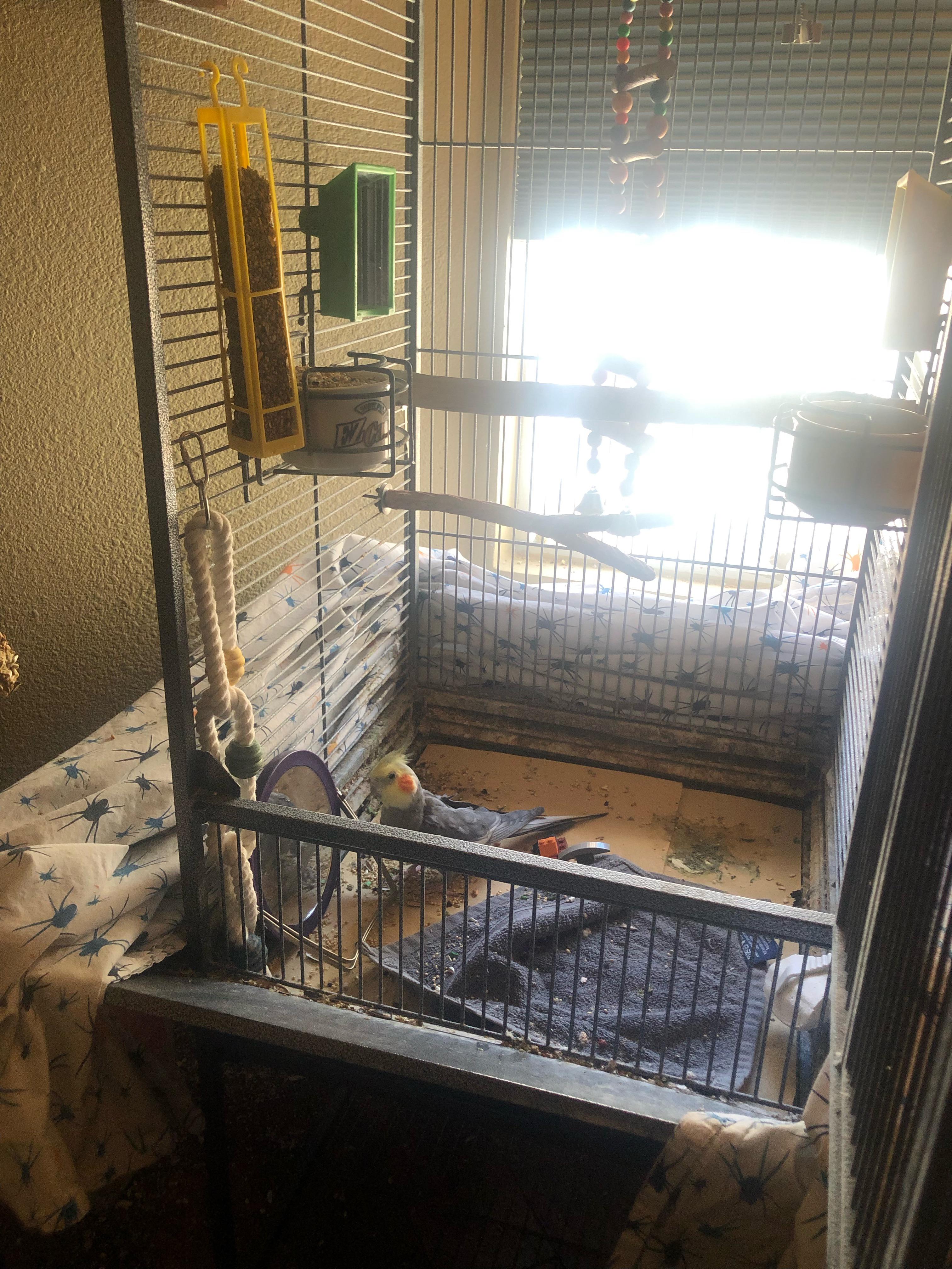 Handsome lad | Scrolller