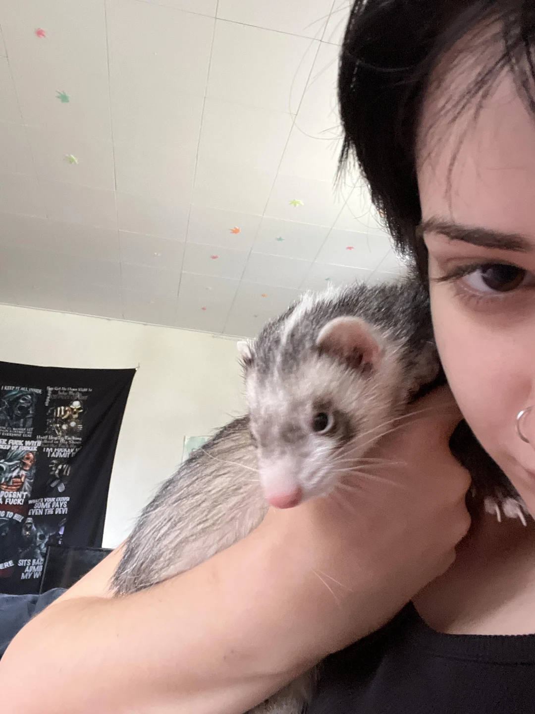 Ferret soup | Scrolller