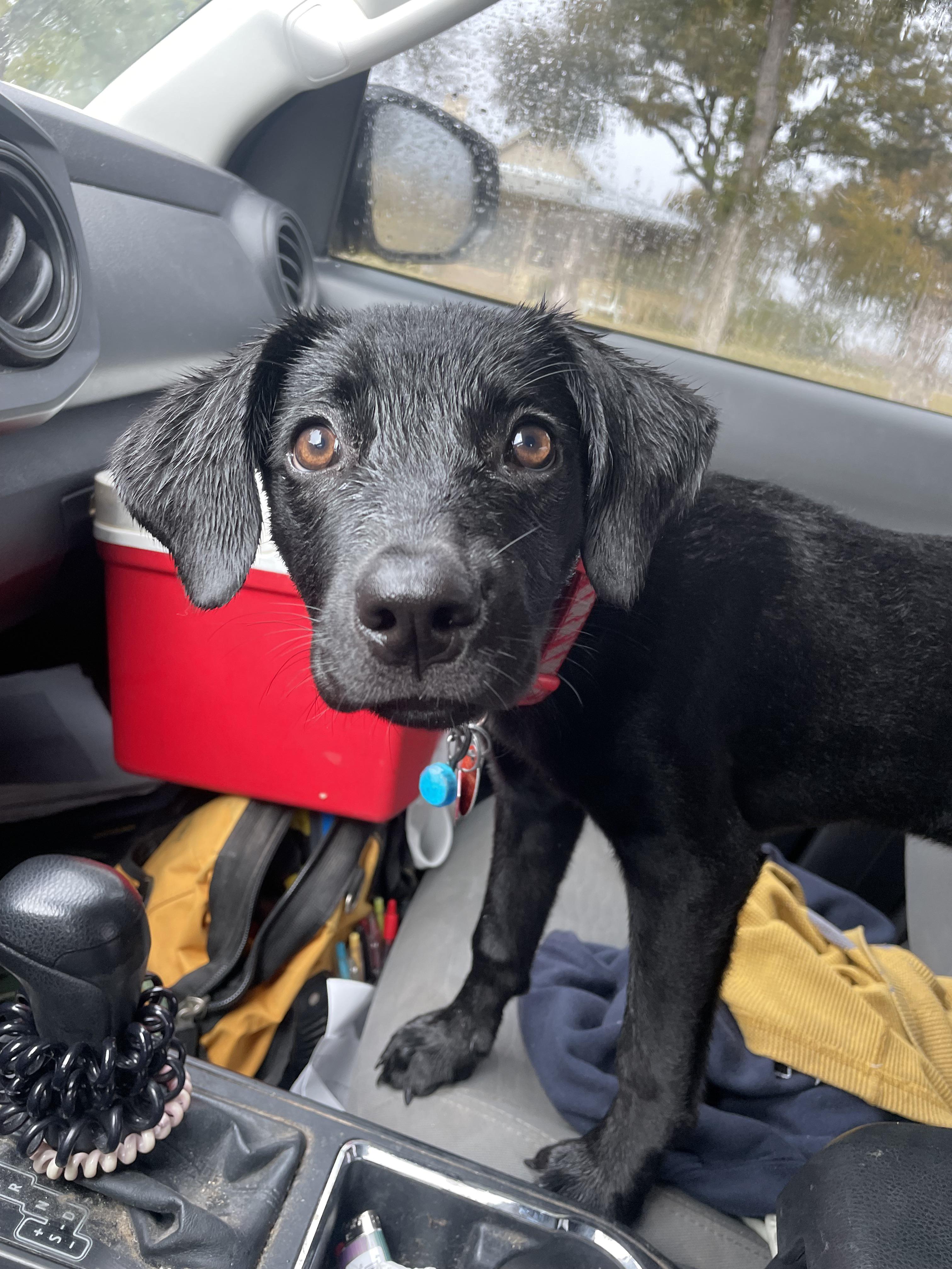 Her first time getting rained on. She wasn’t a big fan | Scrolller