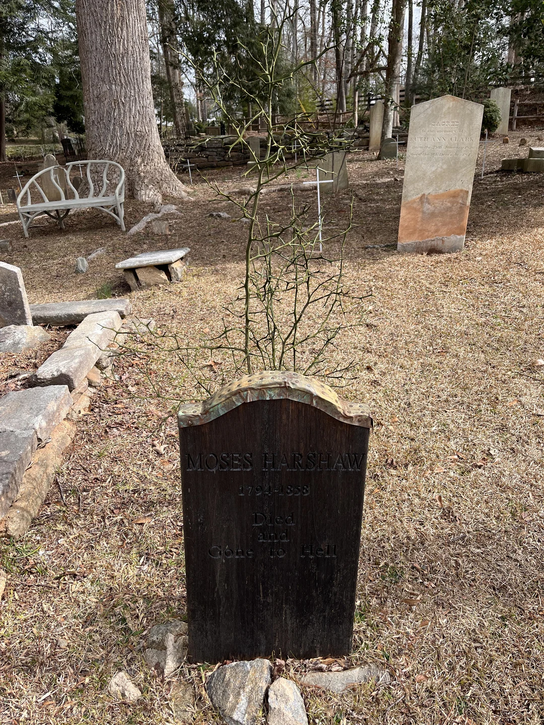 Really cool marker. Note what was planted on the grave. | Scrolller