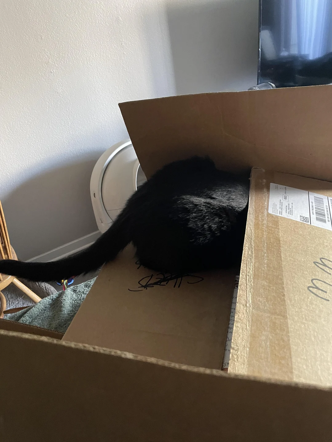 Somehow this surprised me | Scrolller