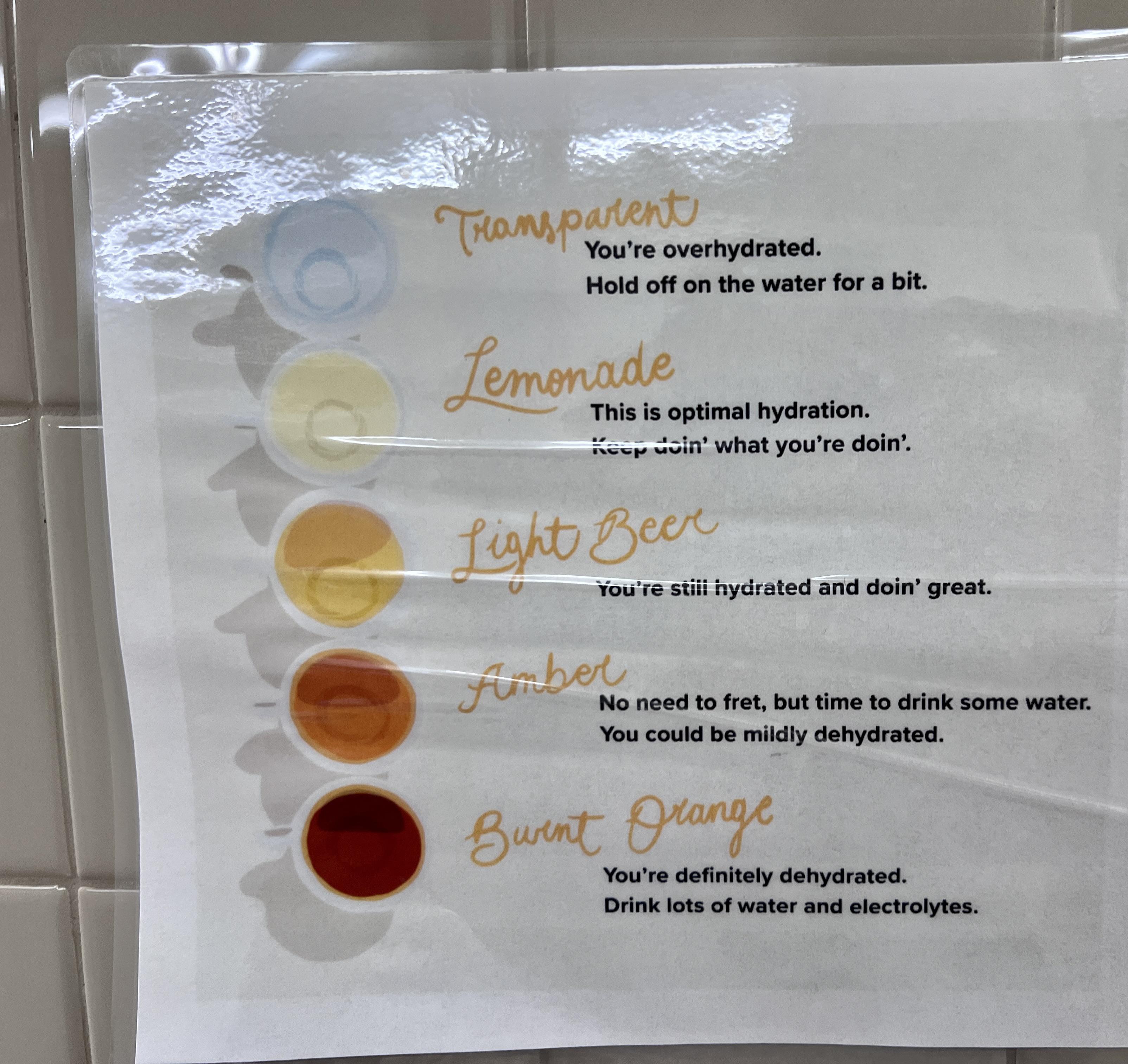 Urine color guide | Scrolller