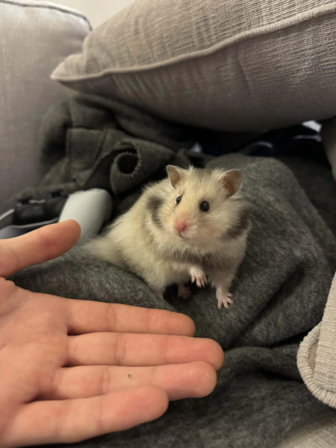 more tiny feetsies 🥹 | Scrolller