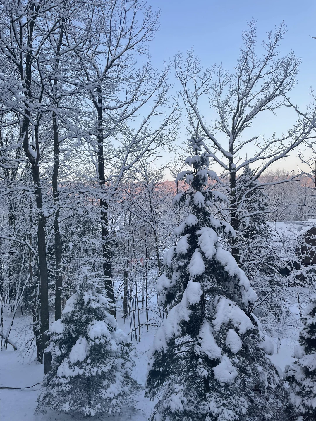 Upstate NY | Scrolller